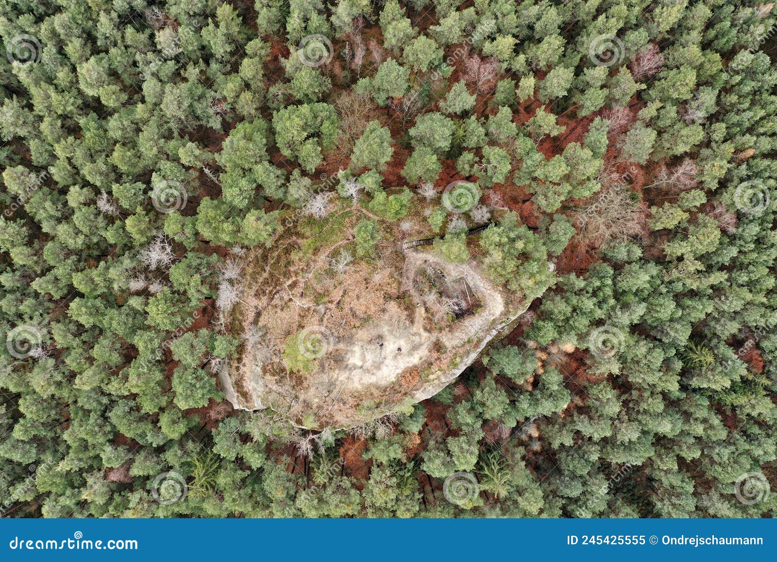 Tall Rock between Trees from the Top Down Stock Image - Image of ...