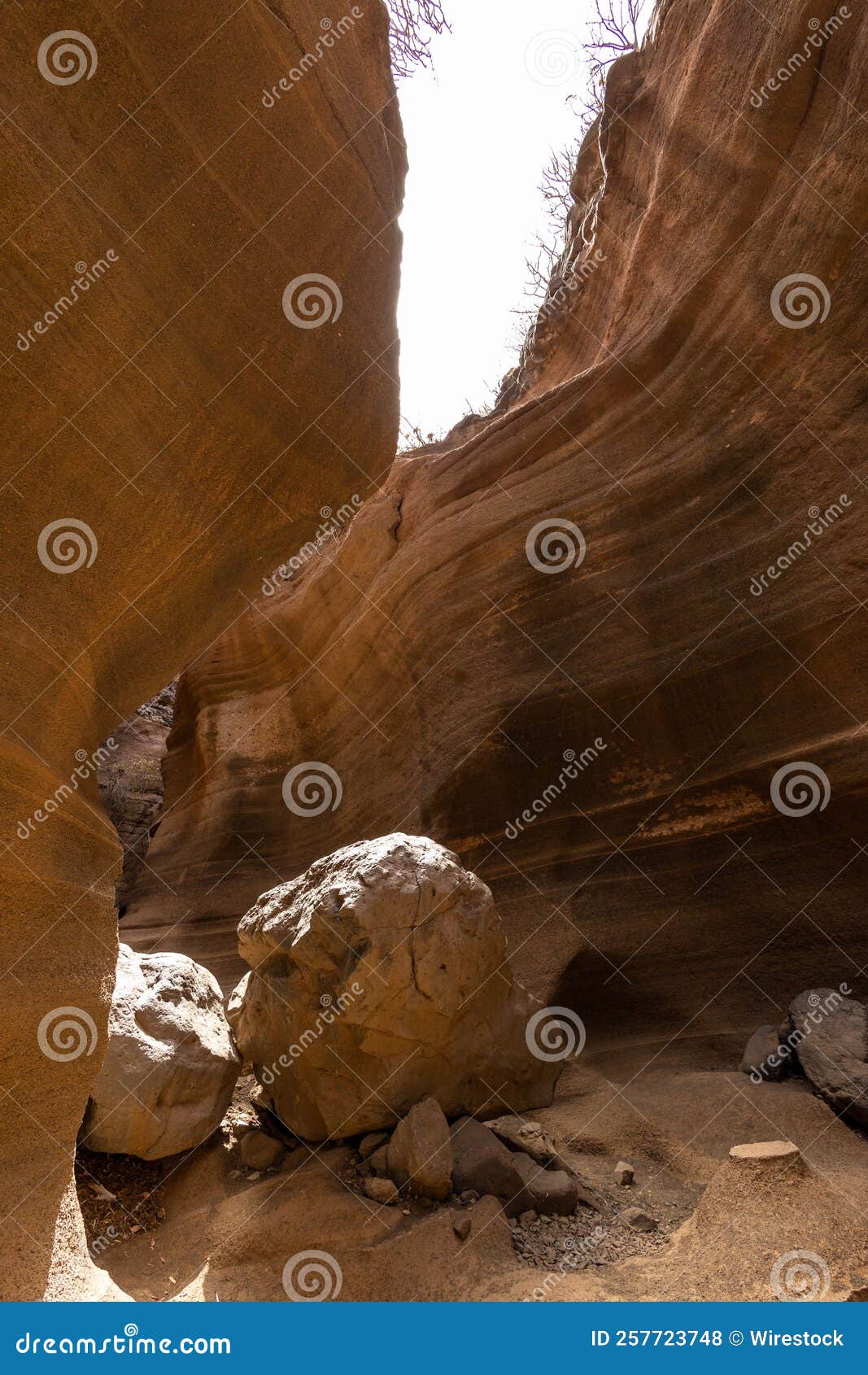 Rocky cliffs in a desert stock photo. Image of cliffs - 257723748