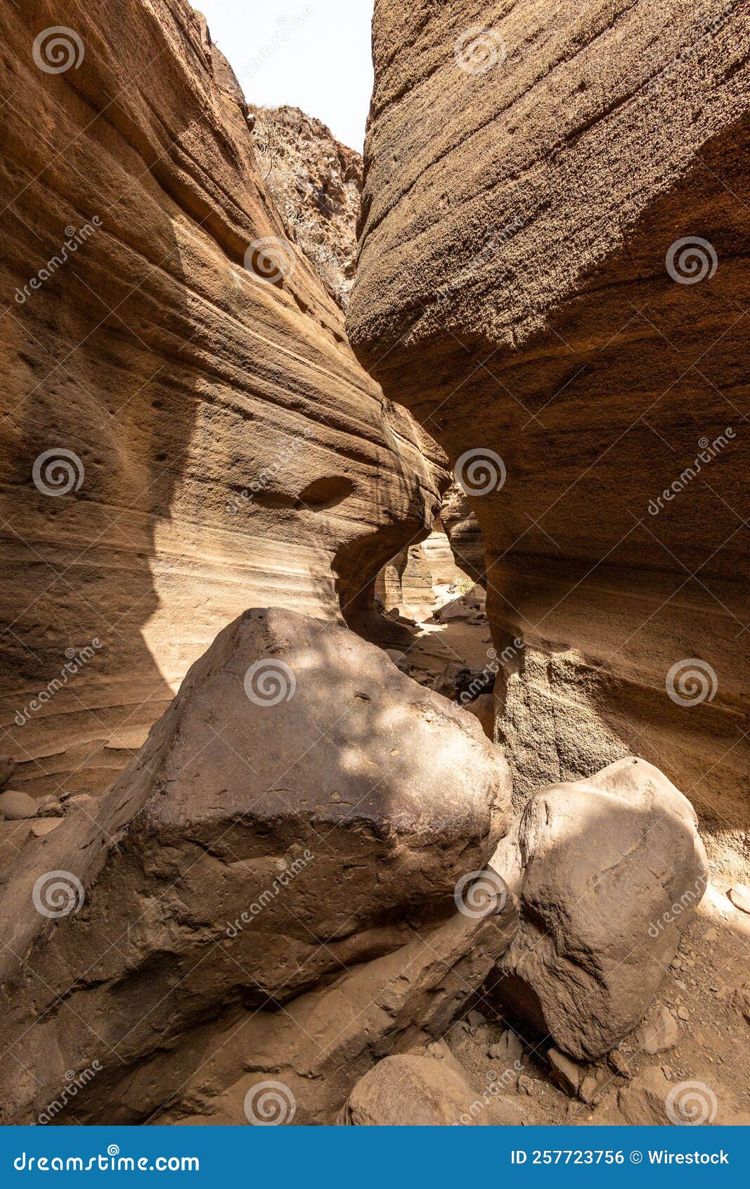 Rocky cliffs in a desert stock photo. Image of stone - 257723756