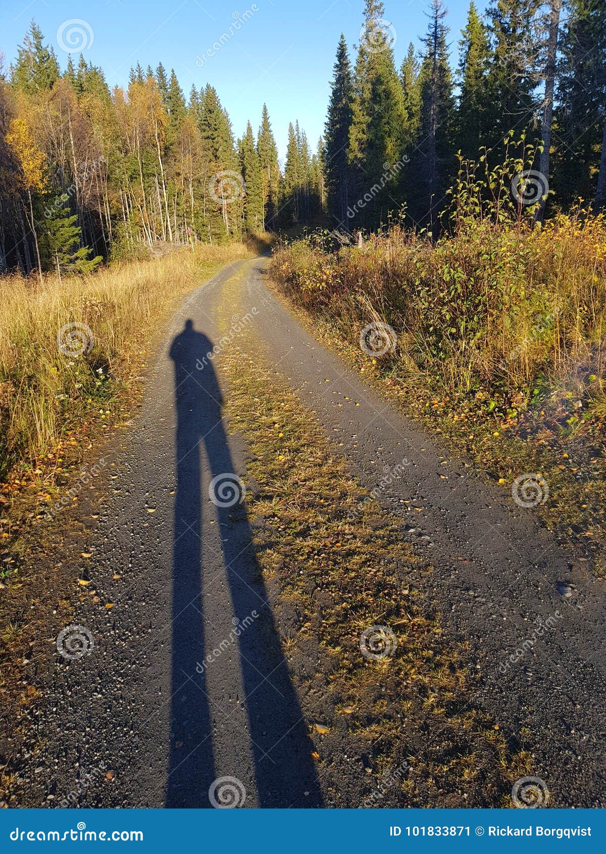 Tall Shadow Selfie On A Ground Background Stock Photo | CartoonDealer ...