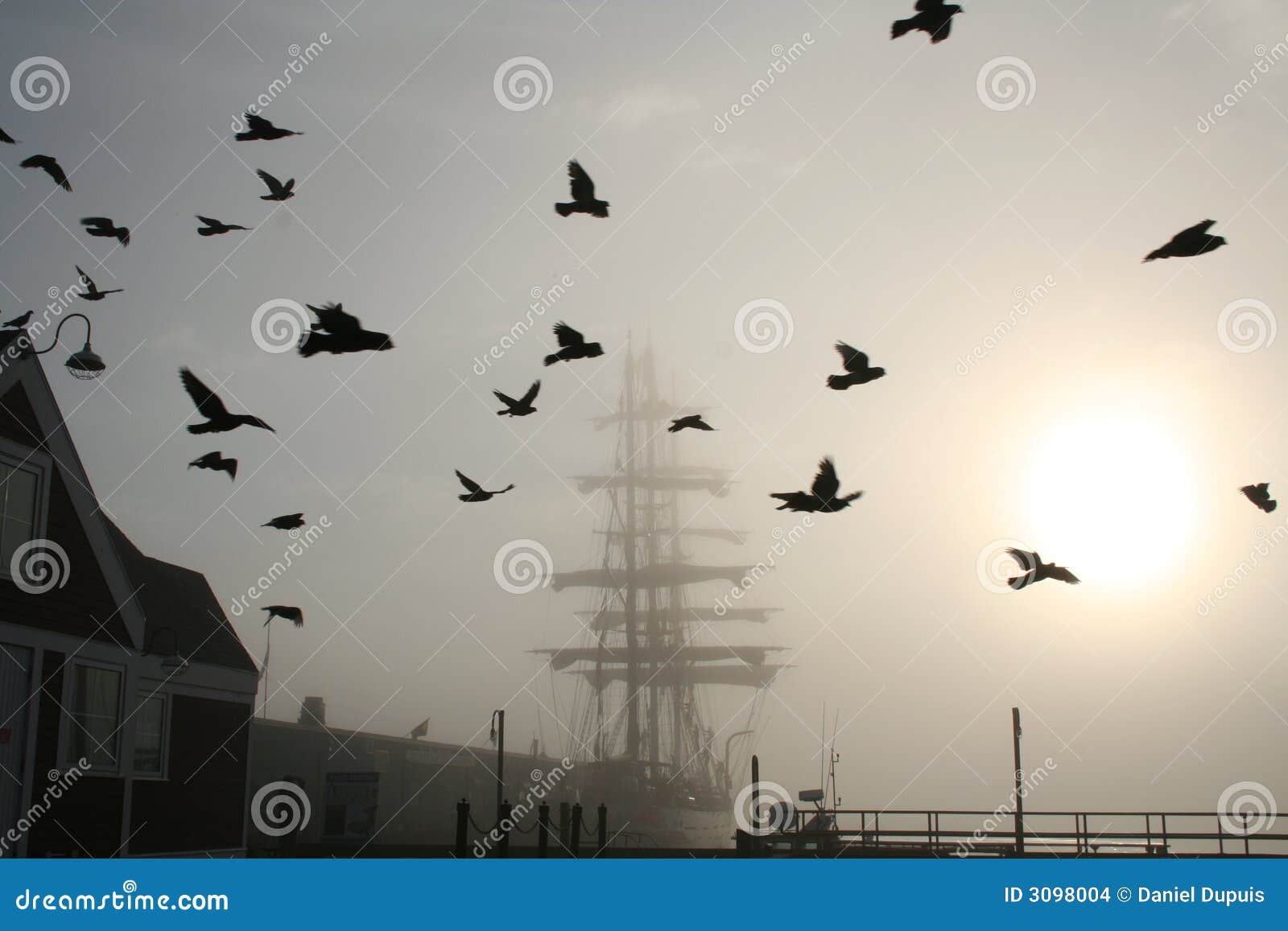 Tall Ship with Birds stock photo. Image of sunrise, dock - 3098004