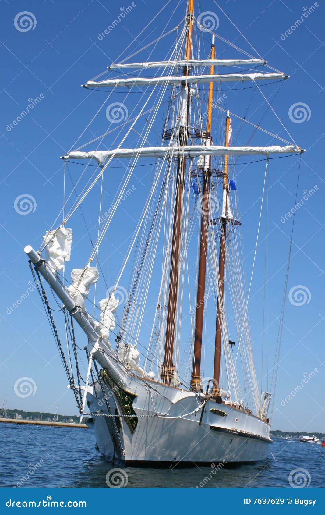 Tall Ship at Dock stock image. Image of white, shore, wind - 7637629