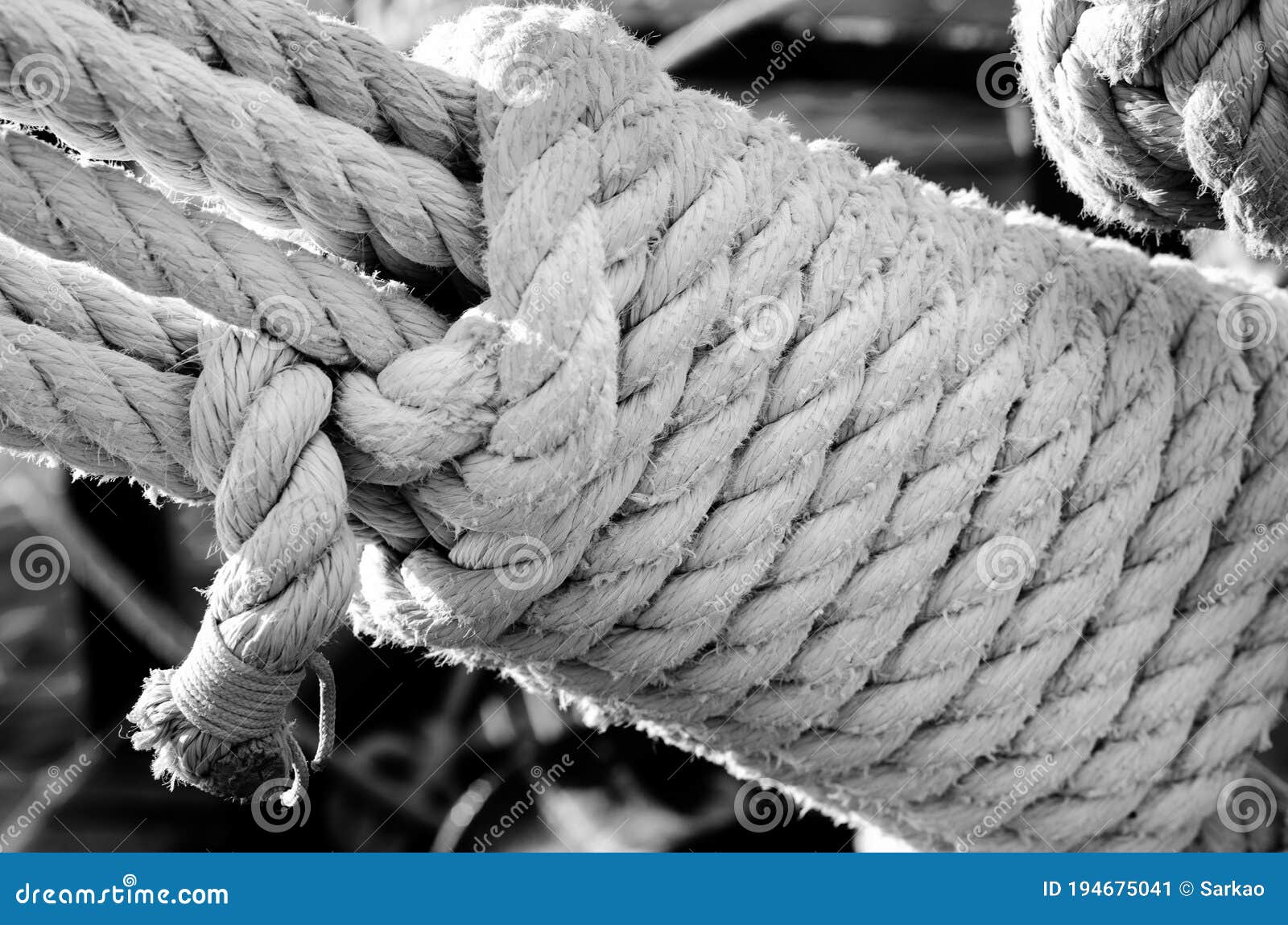 Tall ship sailing rope stock image. Image of tall, yacht - 194675041