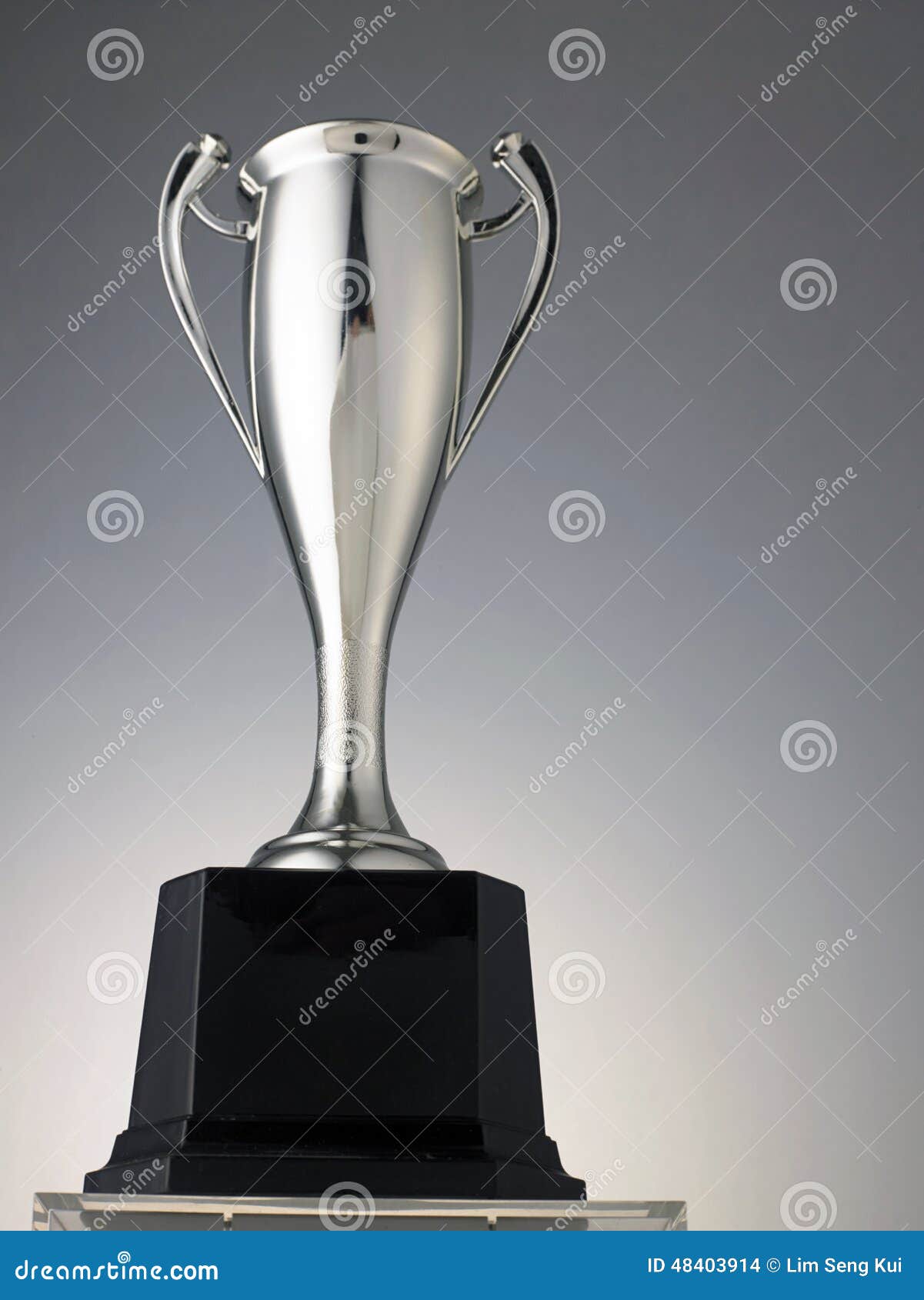 Tall silver trophy stock photo. Image of champion, ceremony - 48403914