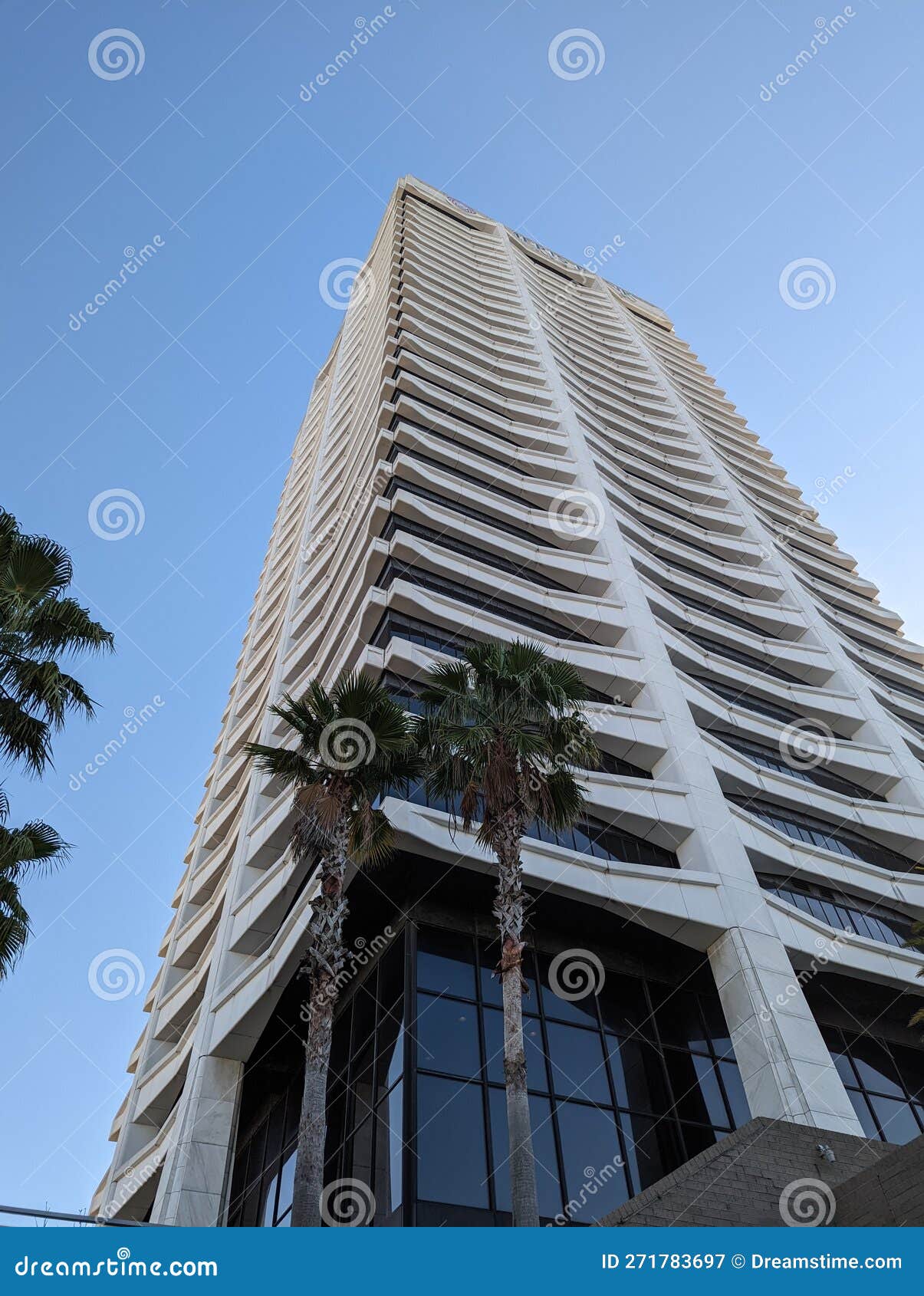 Tall Skyscraper with Palm Trees and Clear Sky Stock Image - Image of ...