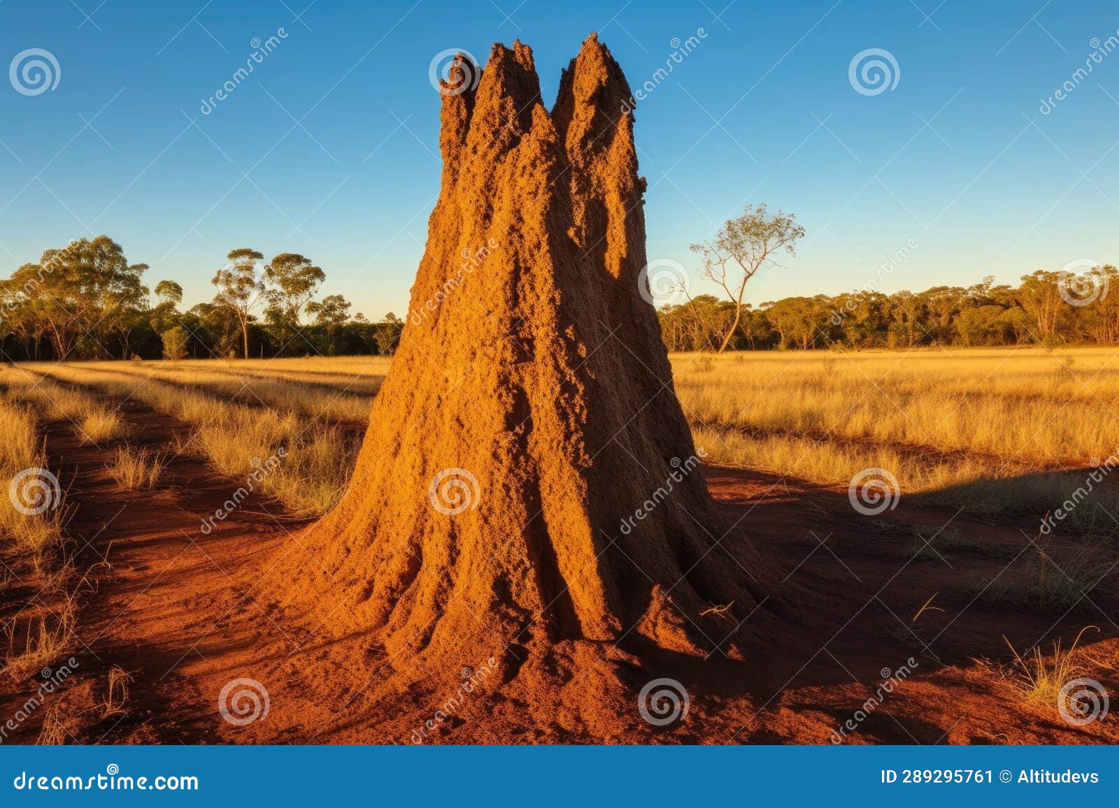 Tall Termite Mound Casting Long Shadows Stock Image - Image of colony ...