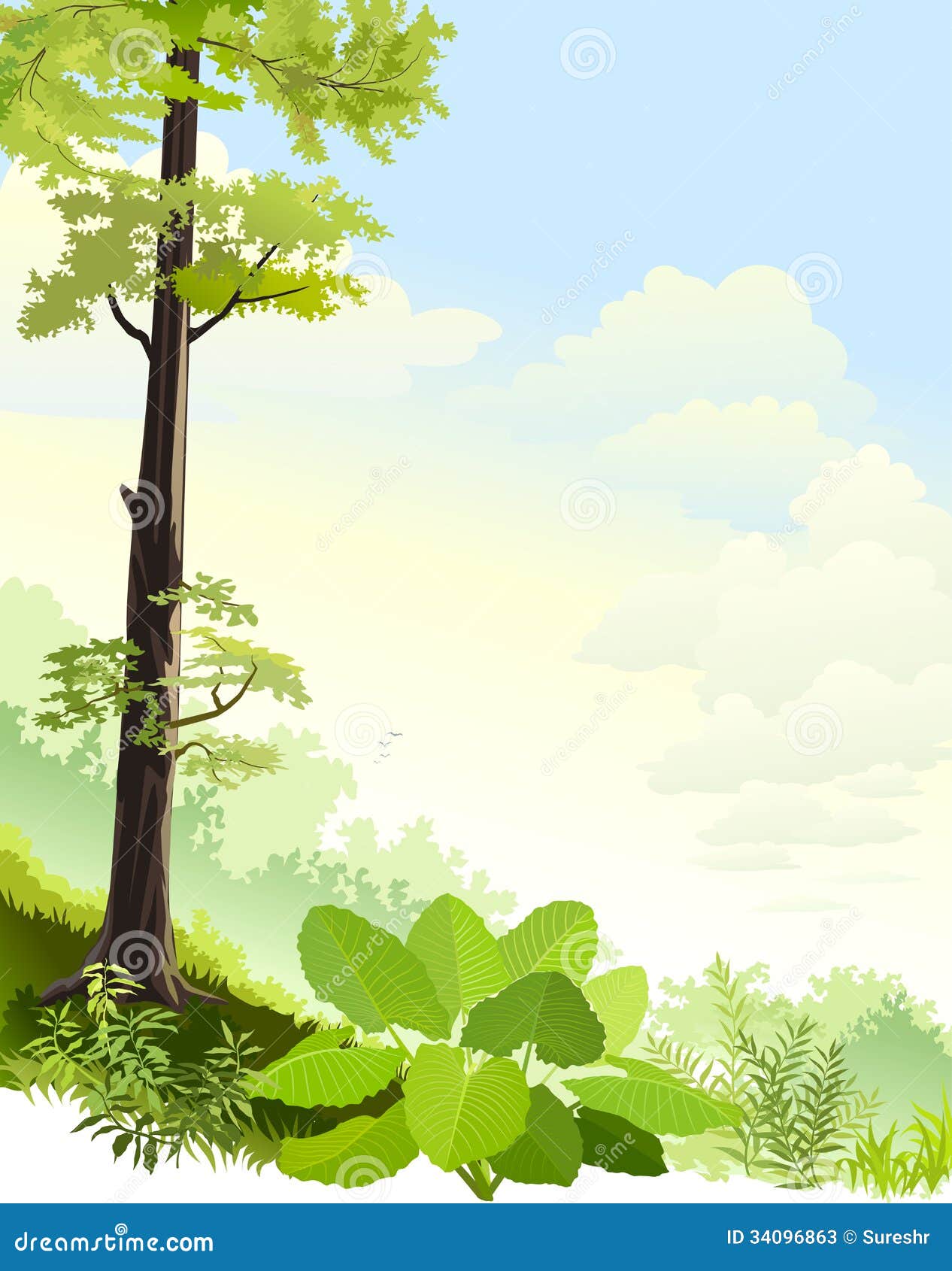 Tall Trees in Amazon Rain Forest Stock Illustration - Illustration of ...
