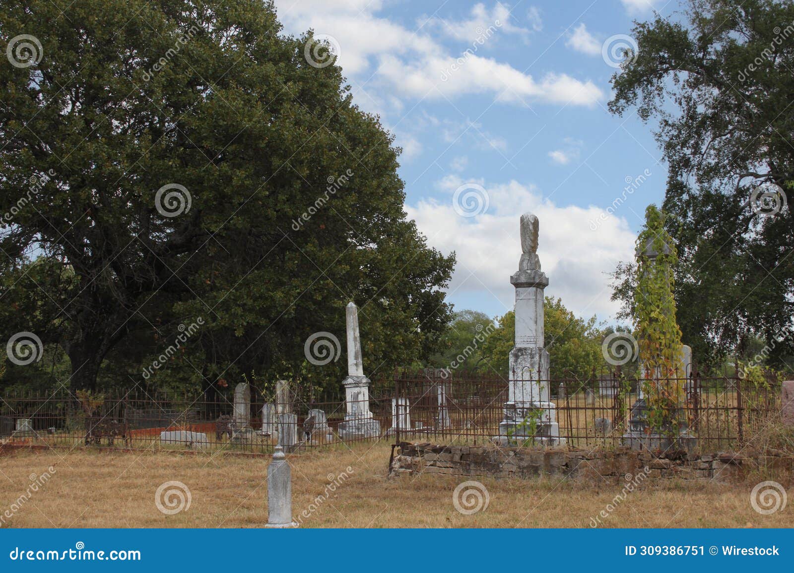Tall Trees by a Large Cemetery Stock Image - Image of tombstones ...