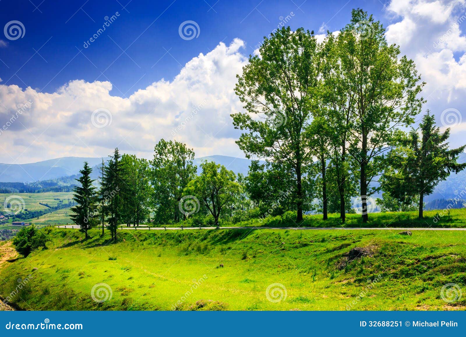 Tall trees near highway stock image. Image of scenery - 32688251