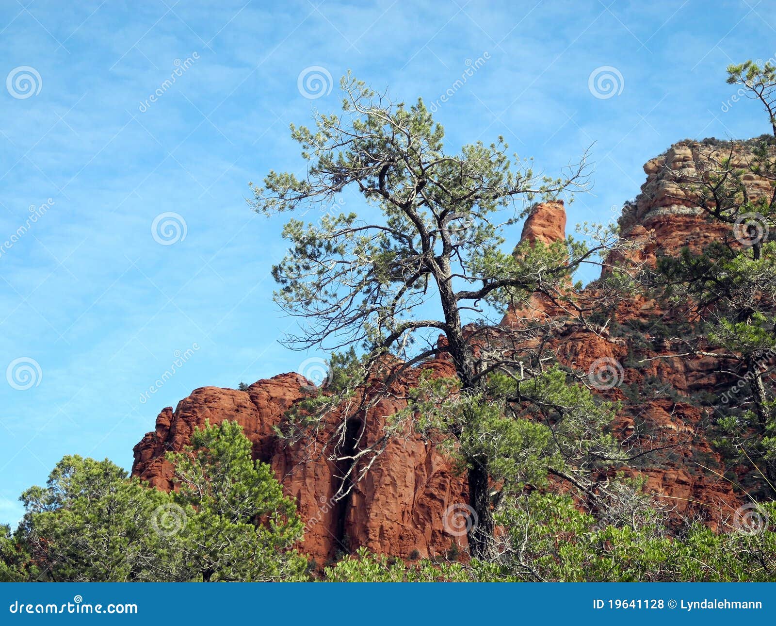 Tall Trees, Rocky Spires stock photo. Image of geology - 19641128