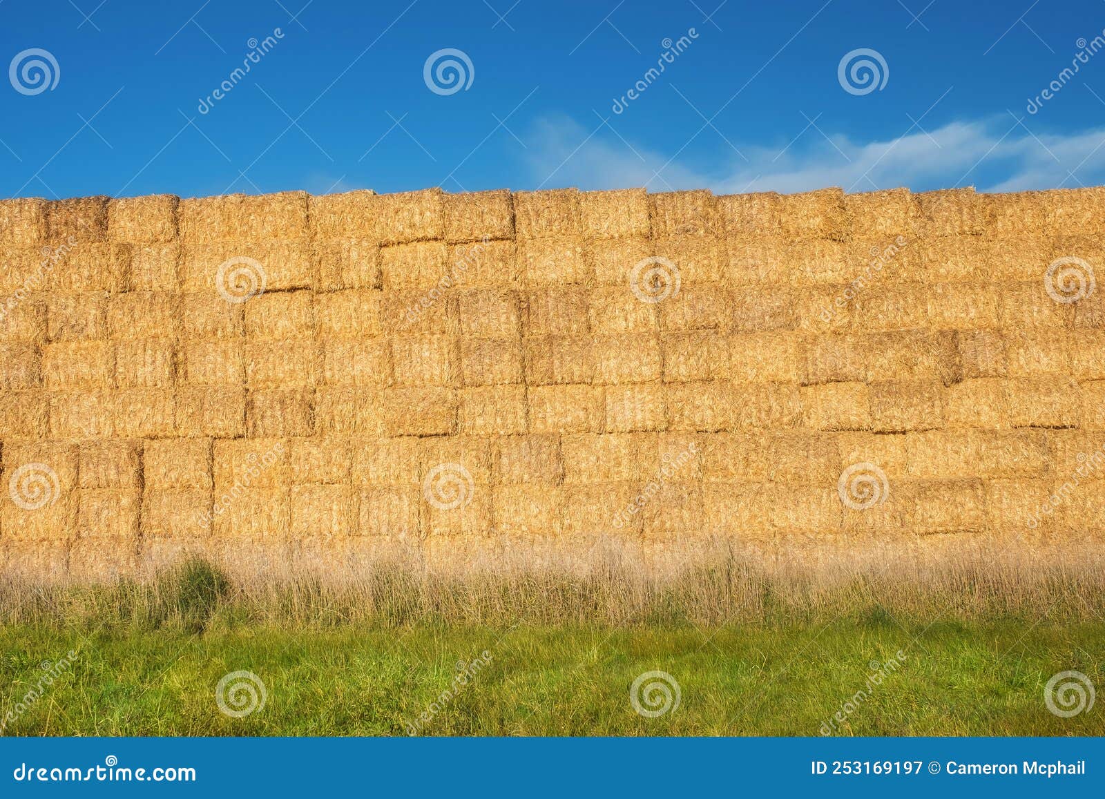 A Tall Wall of Stacked Haybales Stock Image - Image of barrier ...