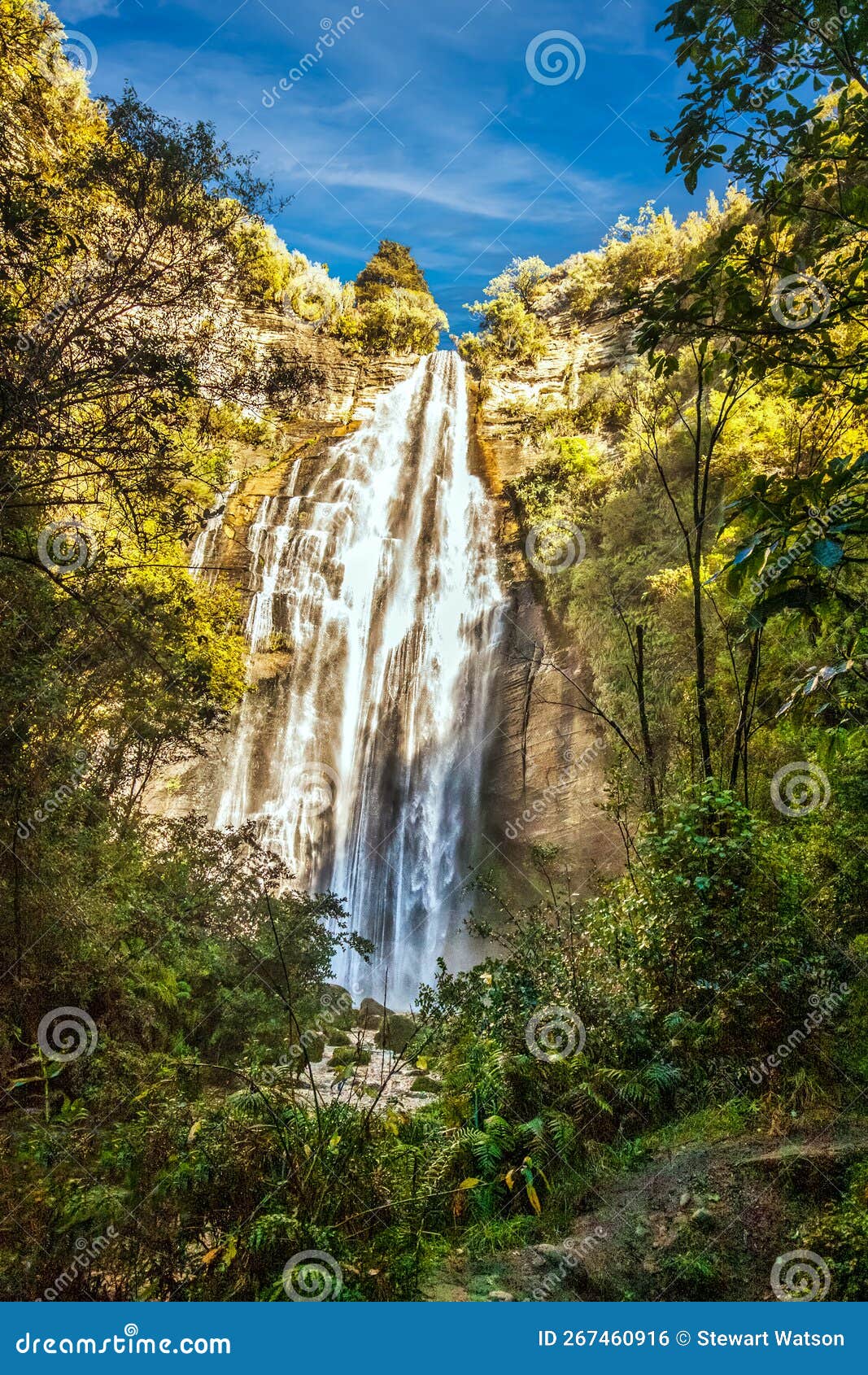 Tall Waterfall Flowing Down the Cliff Surrounded by Native Rain Forest ...
