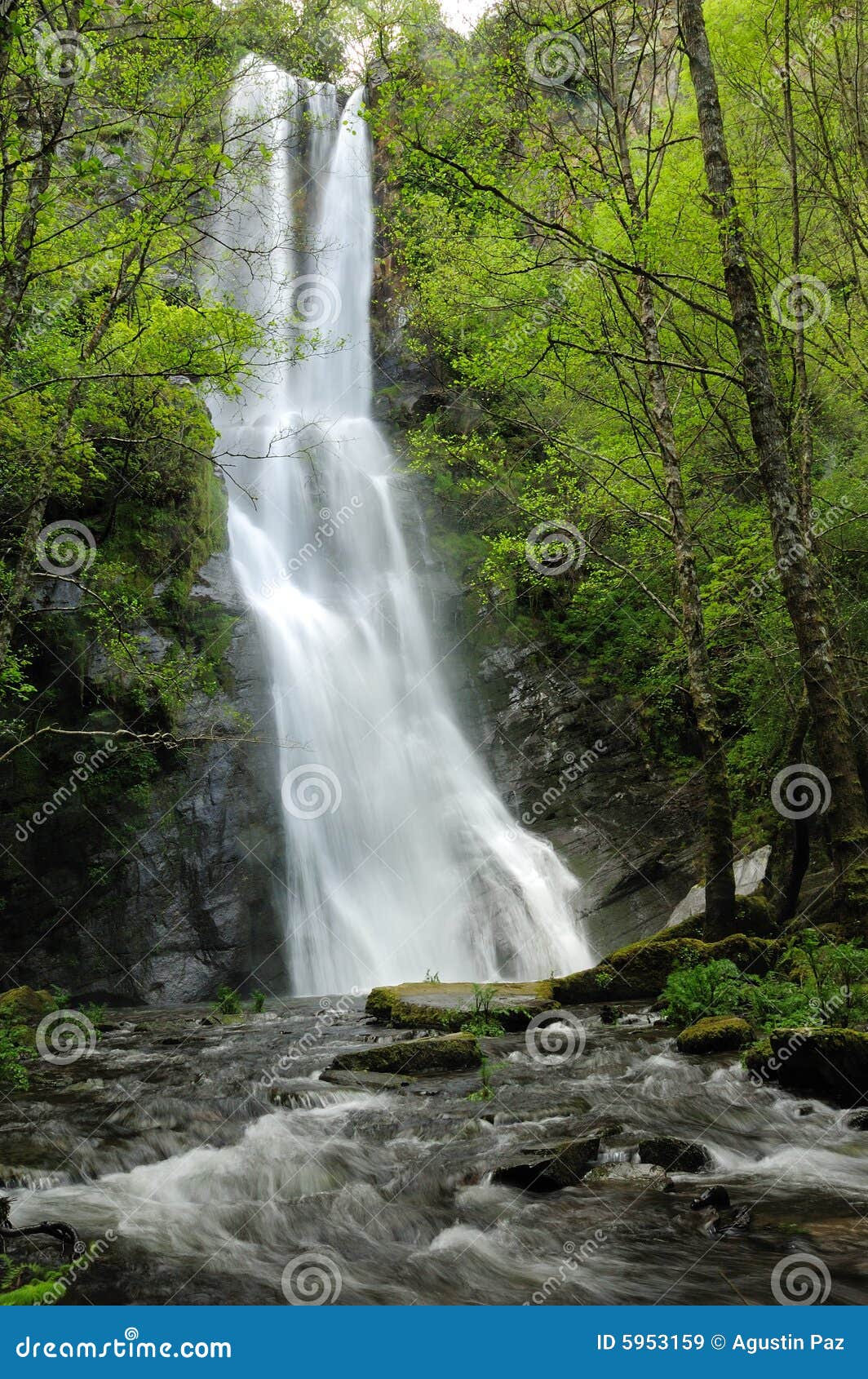 Tall Waterfall At 7 Star Park, Guilin, China Stock Image ...