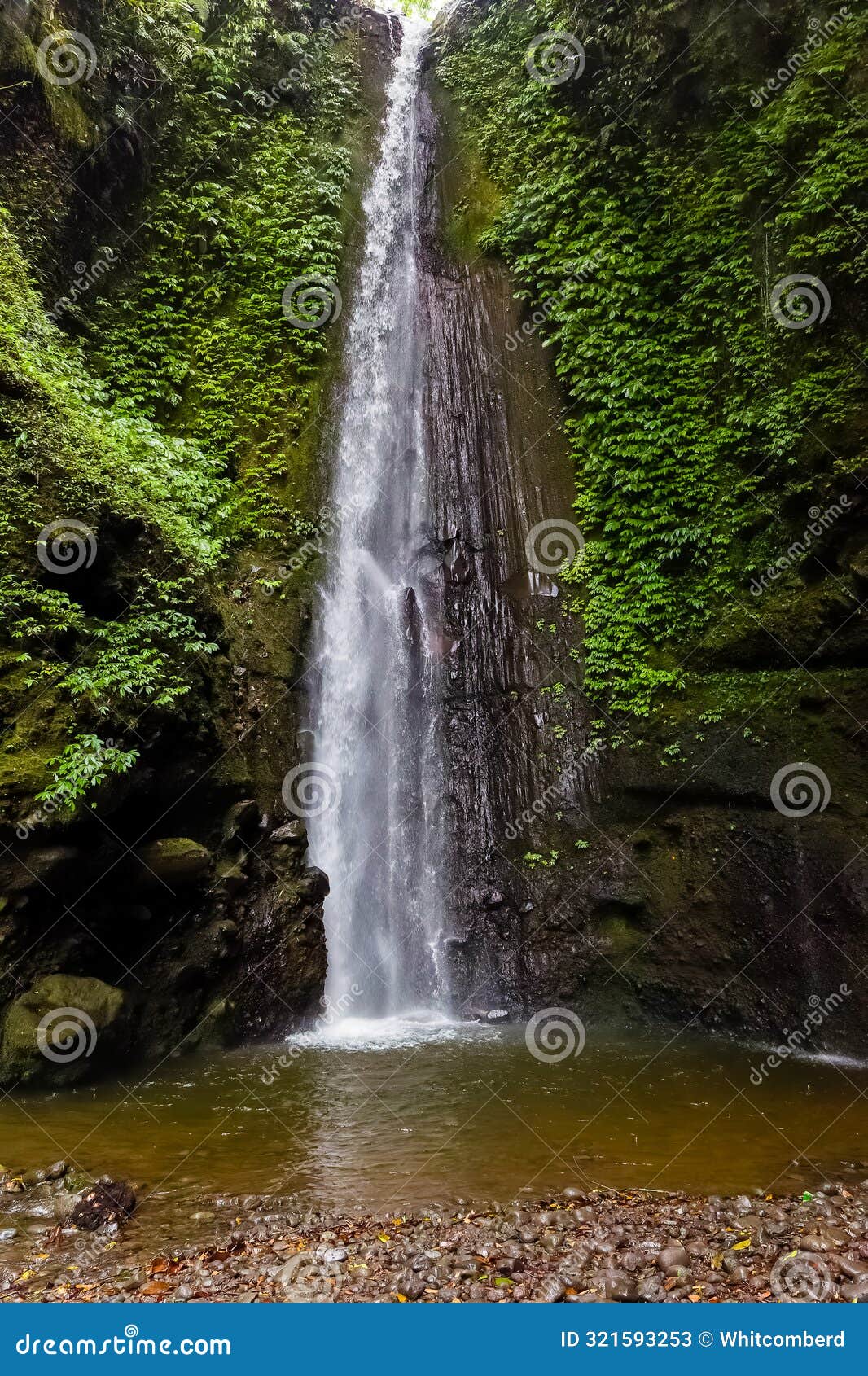 A Tall Waterfall in a Tropical Rainforest in Lombok, Indonesia Stock ...