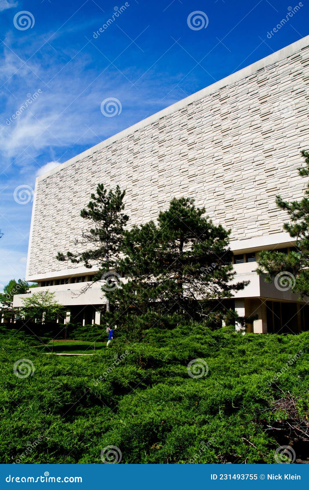 Tall White Library Building with Trees and Bushes in the Foreground ...