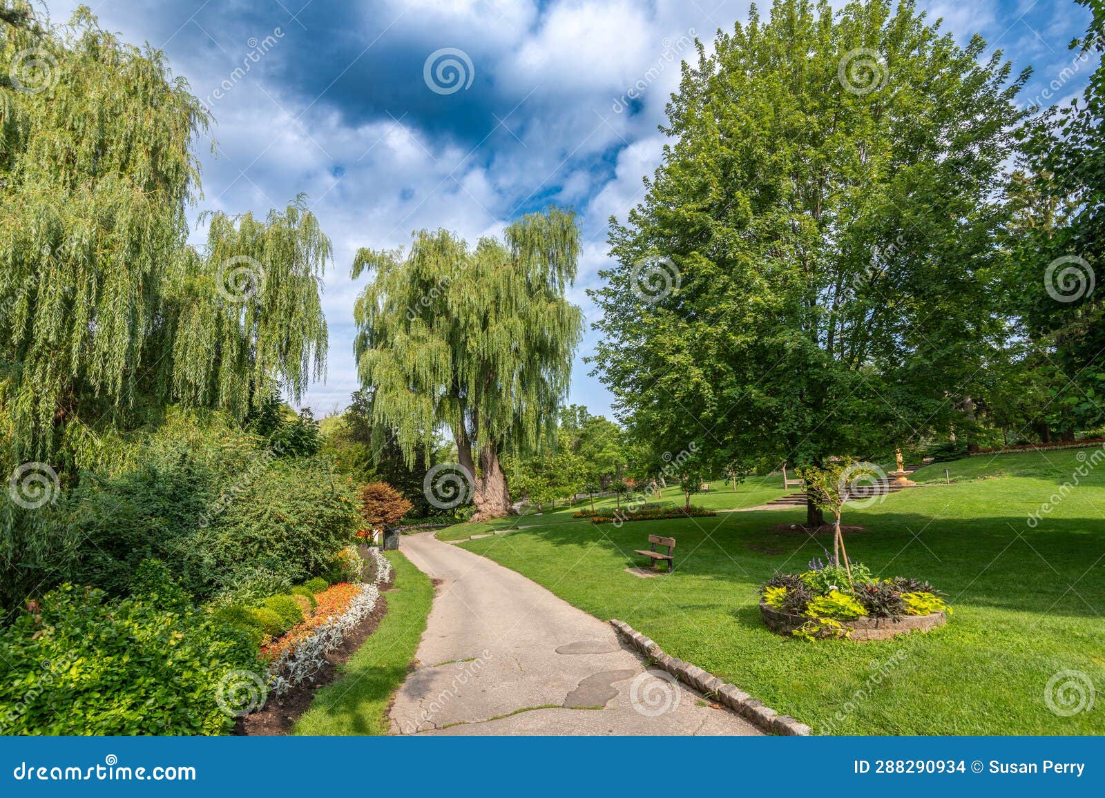 Tall Willow Tree in the Park with Blue Skies Stock Photo - Image of ...