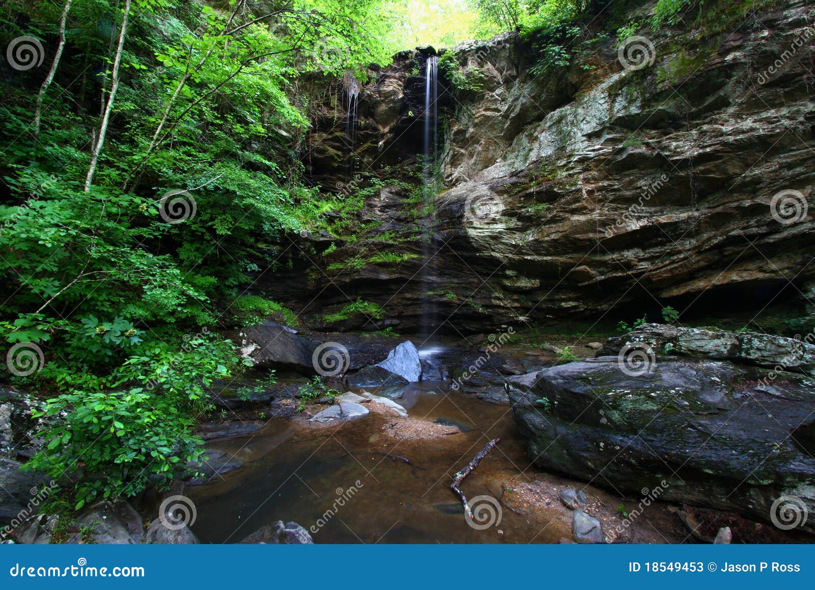 Talladega National Forest - Alabama Stock Image - Image of ecosystem ...