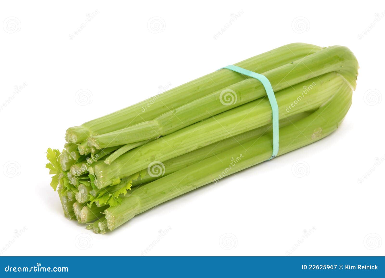 Tallo del apio imagen de archivo. Imagen de apio, alimento - 22625967