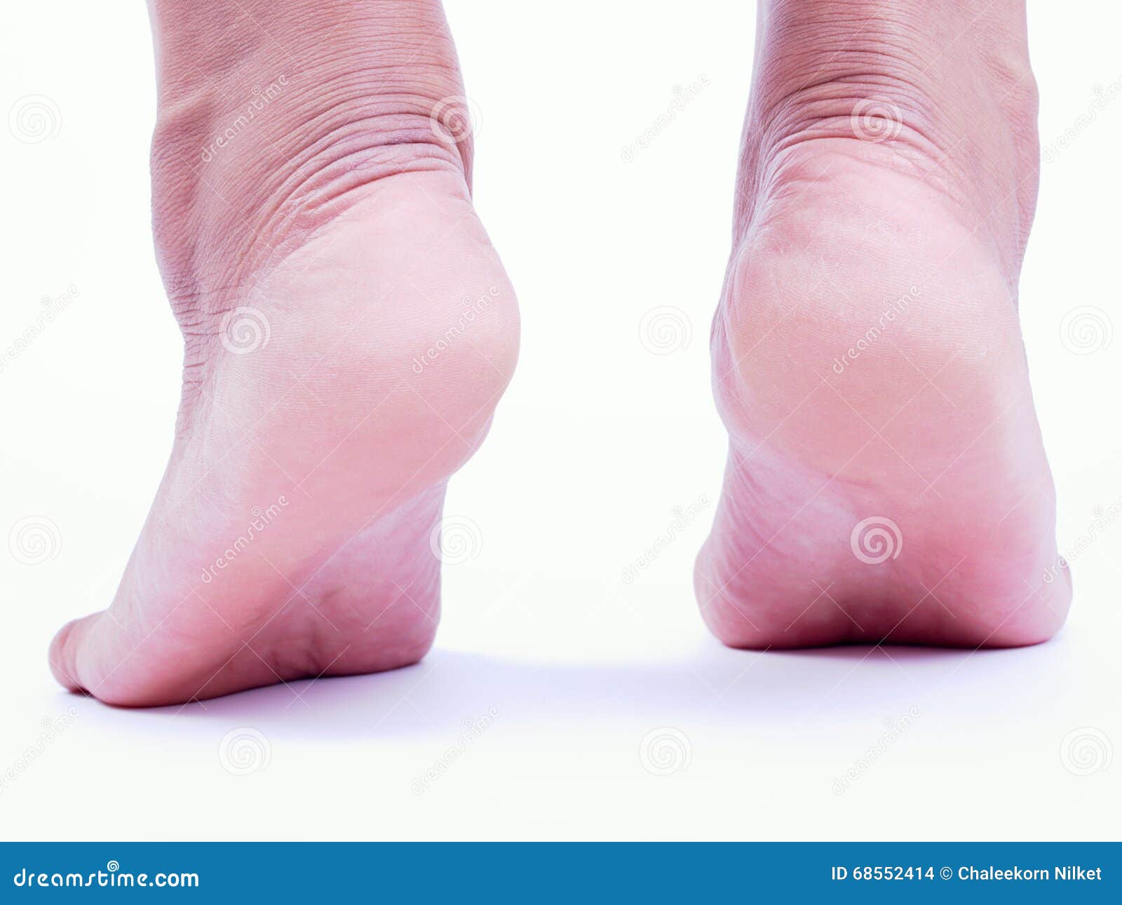 Tallone Foto Stock - Download 61,627 Royalty Free Photos