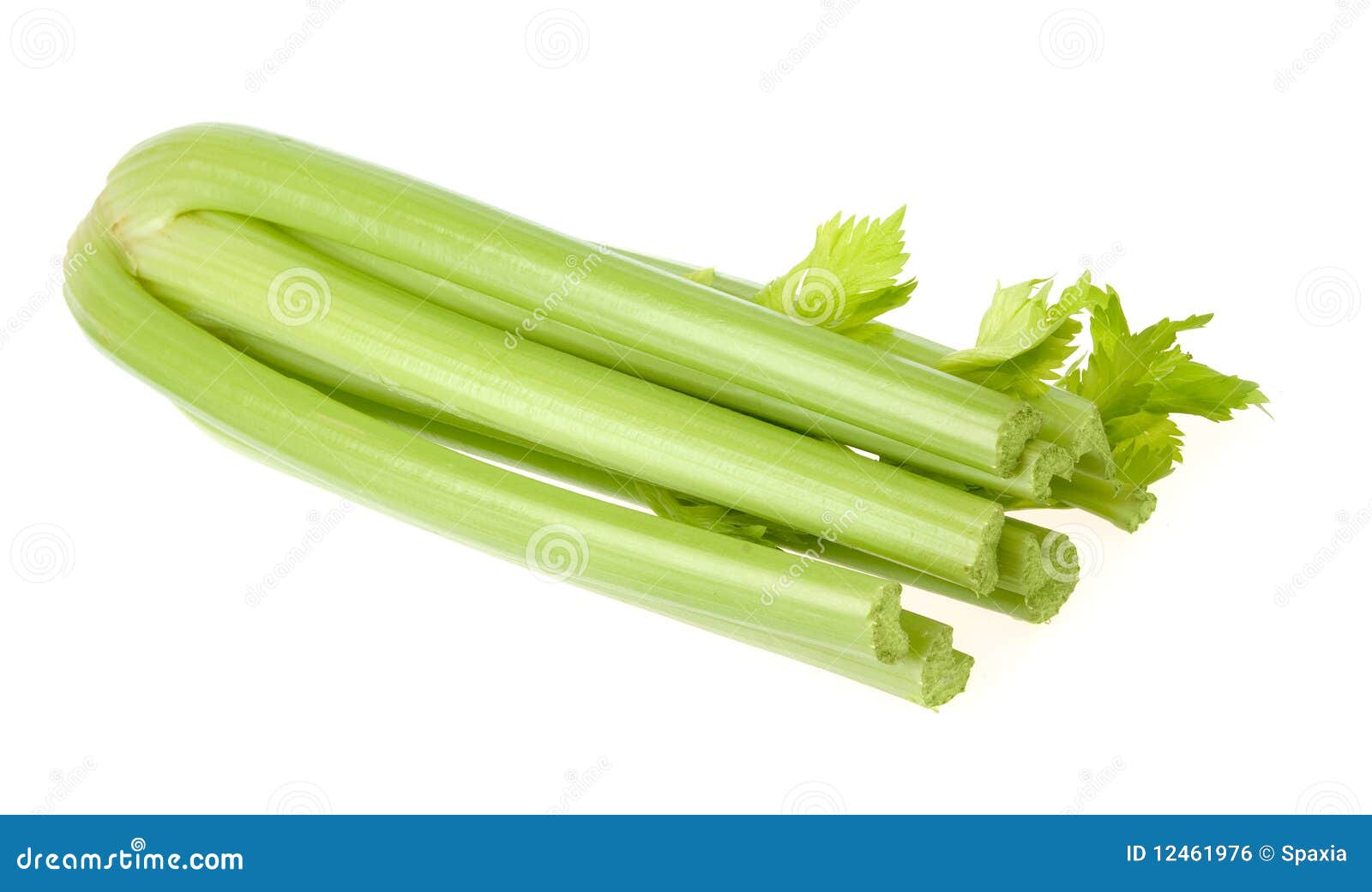 Tallos del apio foto de archivo. Imagen de sano, frescura - 12461976