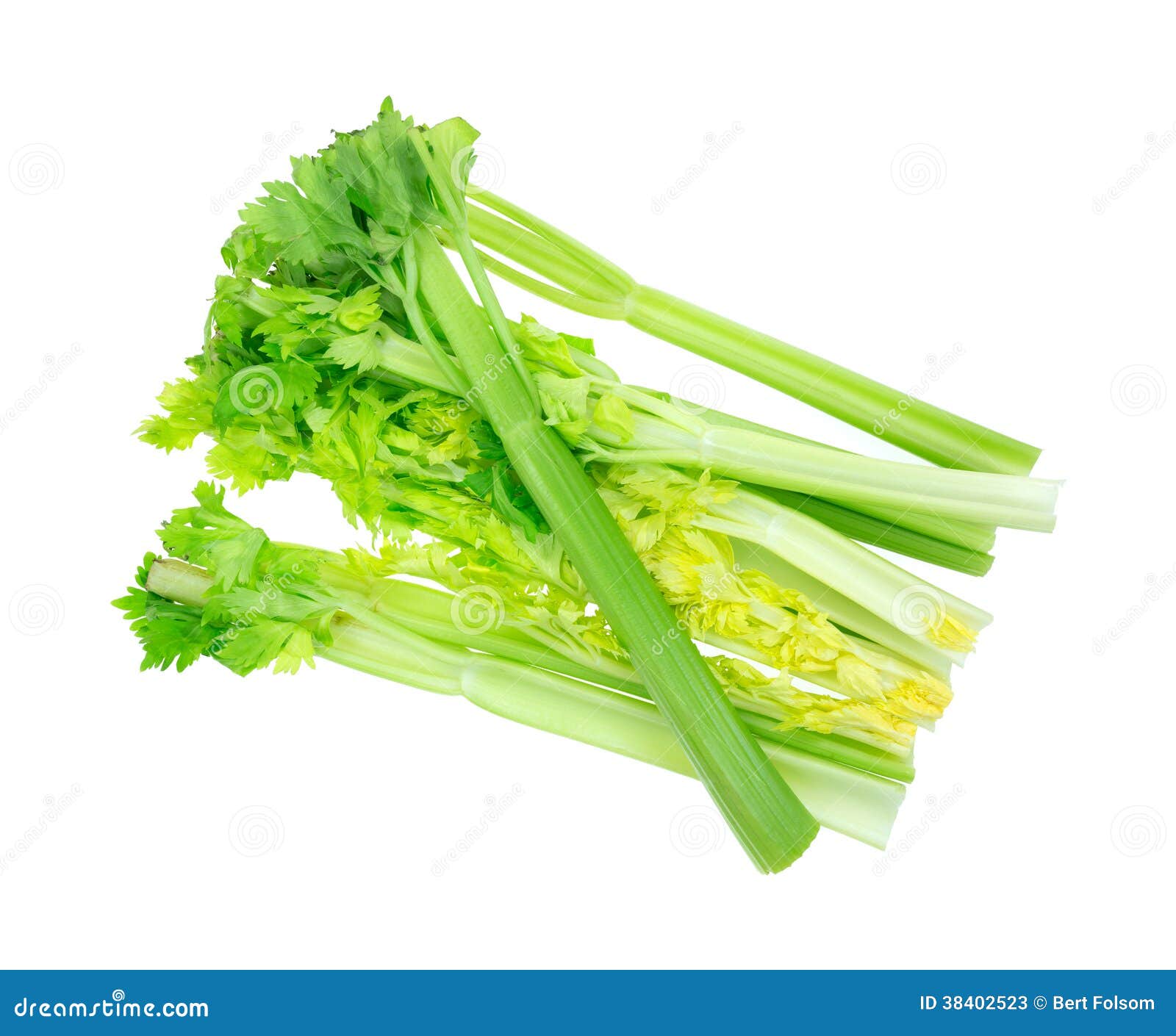 Tallos del apio imagen de archivo. Imagen de tallos, grupo - 38402523