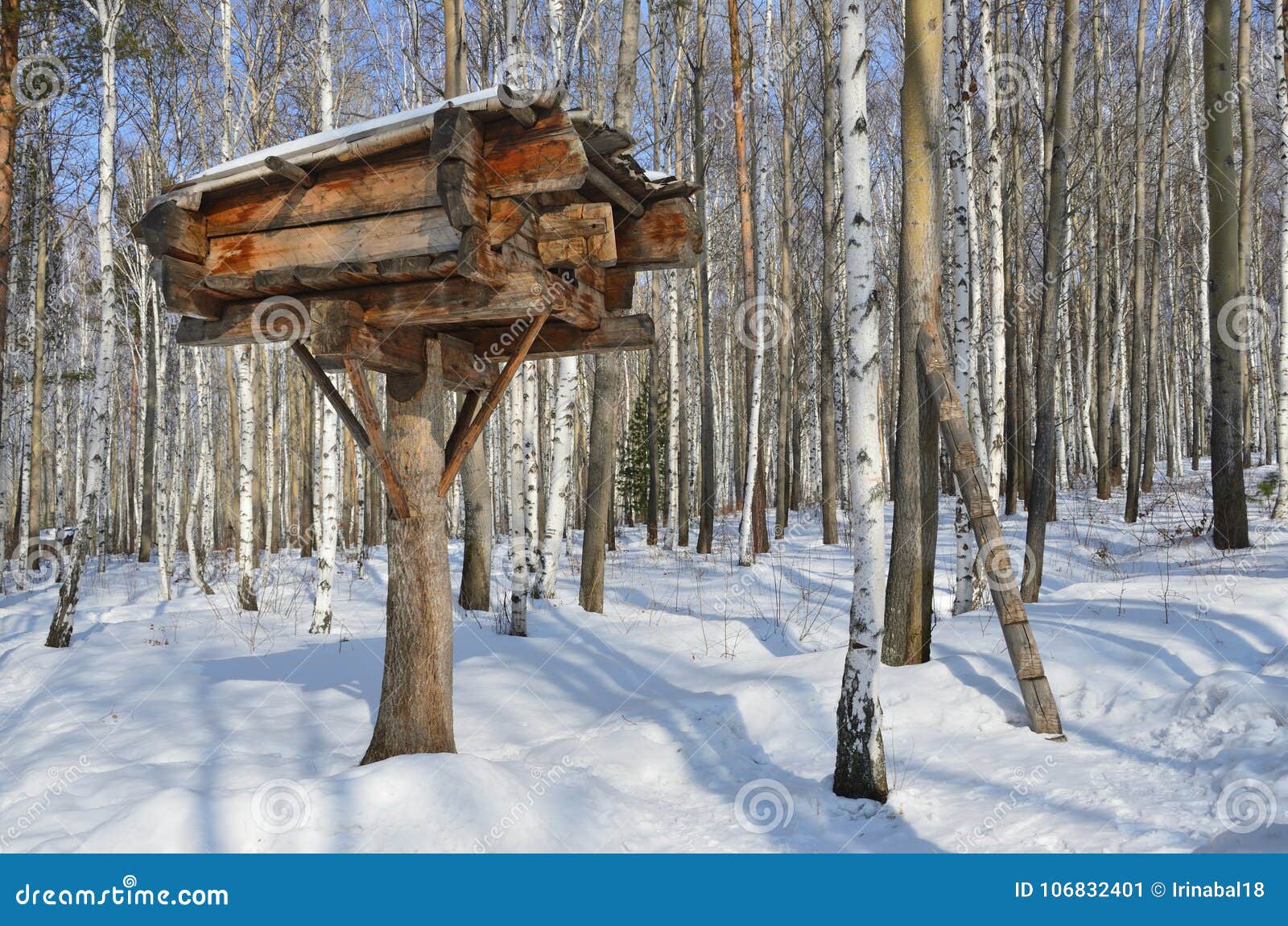 Taltsy, Evenk Storage Shed To Store Things in the Winter Stock Image ...