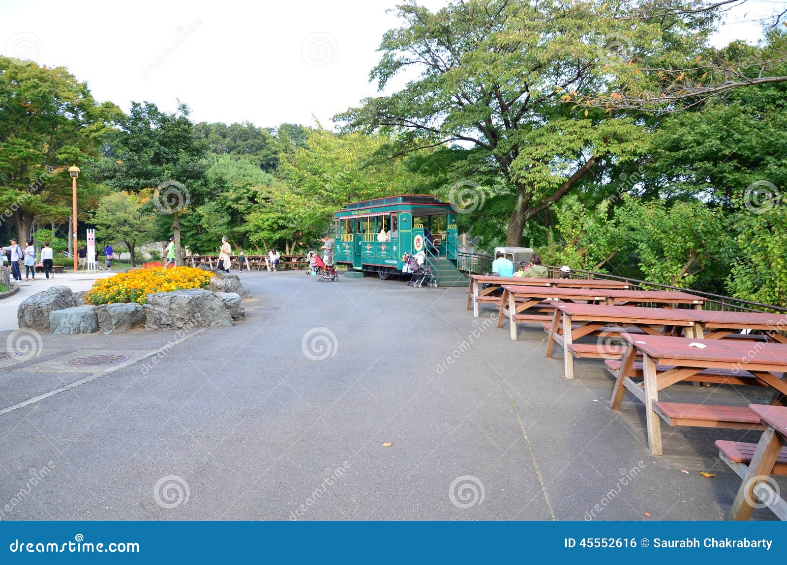 Tama zoo editorial photo. Image of japan, plant, walkway - 45552616