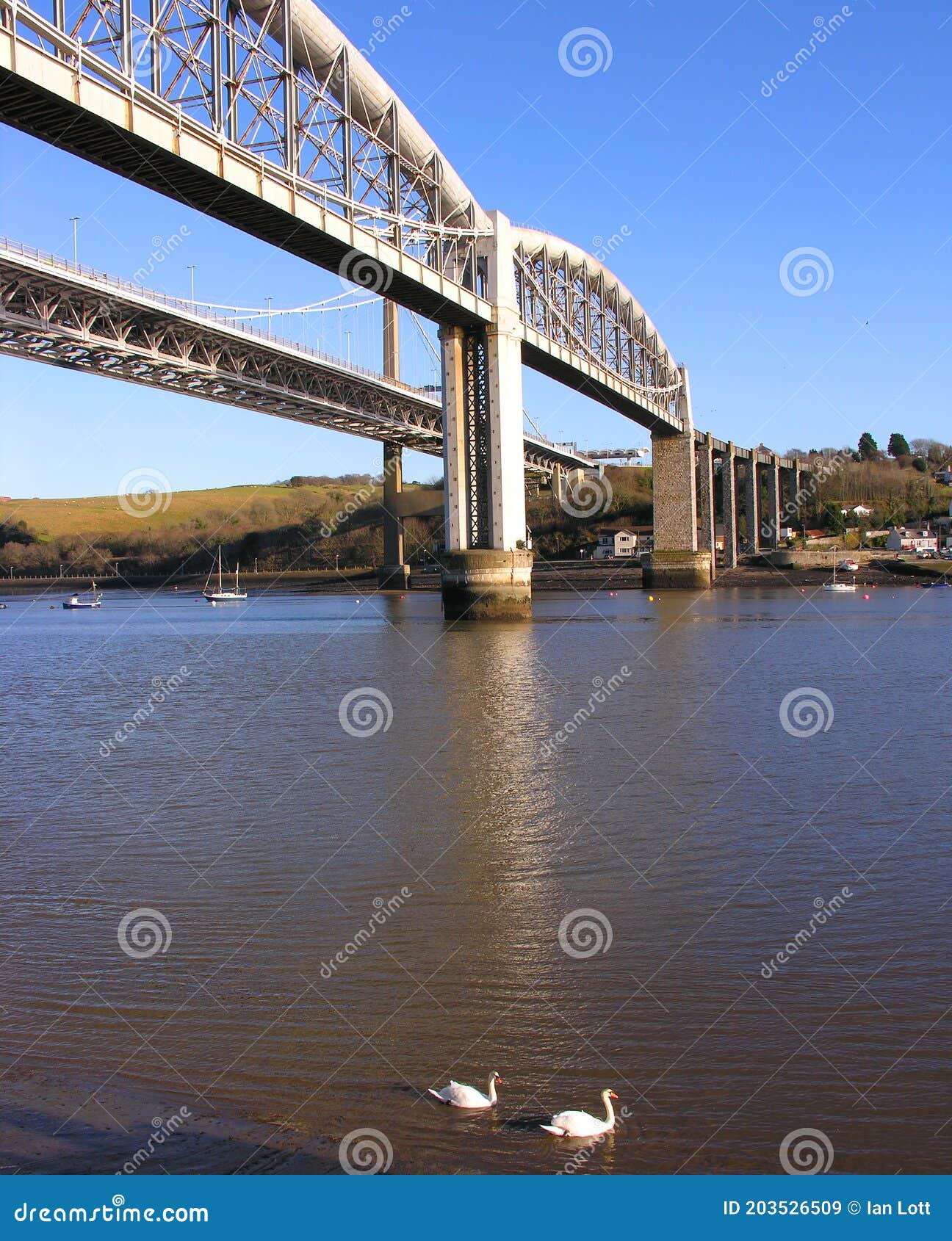Tamar Bridge River Tamar Devon Stock Image - Image of borders ...