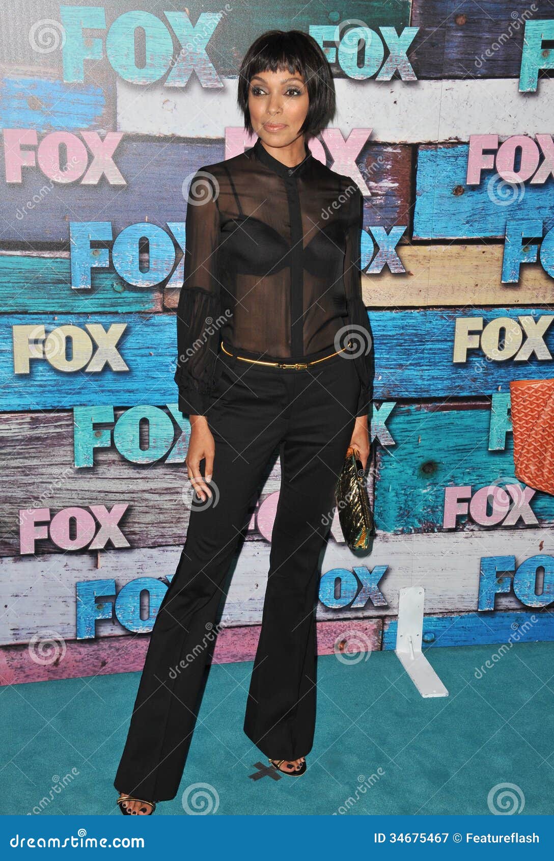 Tamara Taylor fotografia editorial. Imagem de hollywood - 34675467