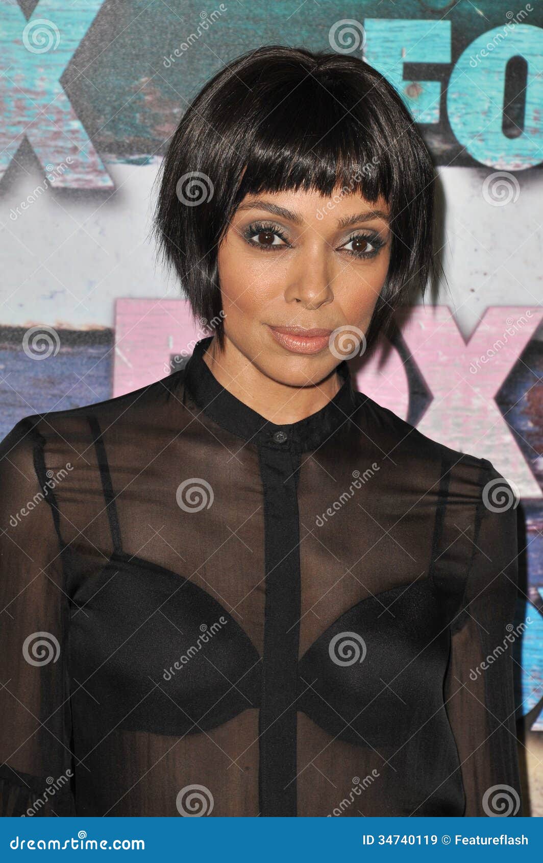 Tamara Taylor image stock éditorial. Image of hollywood - 34740119
