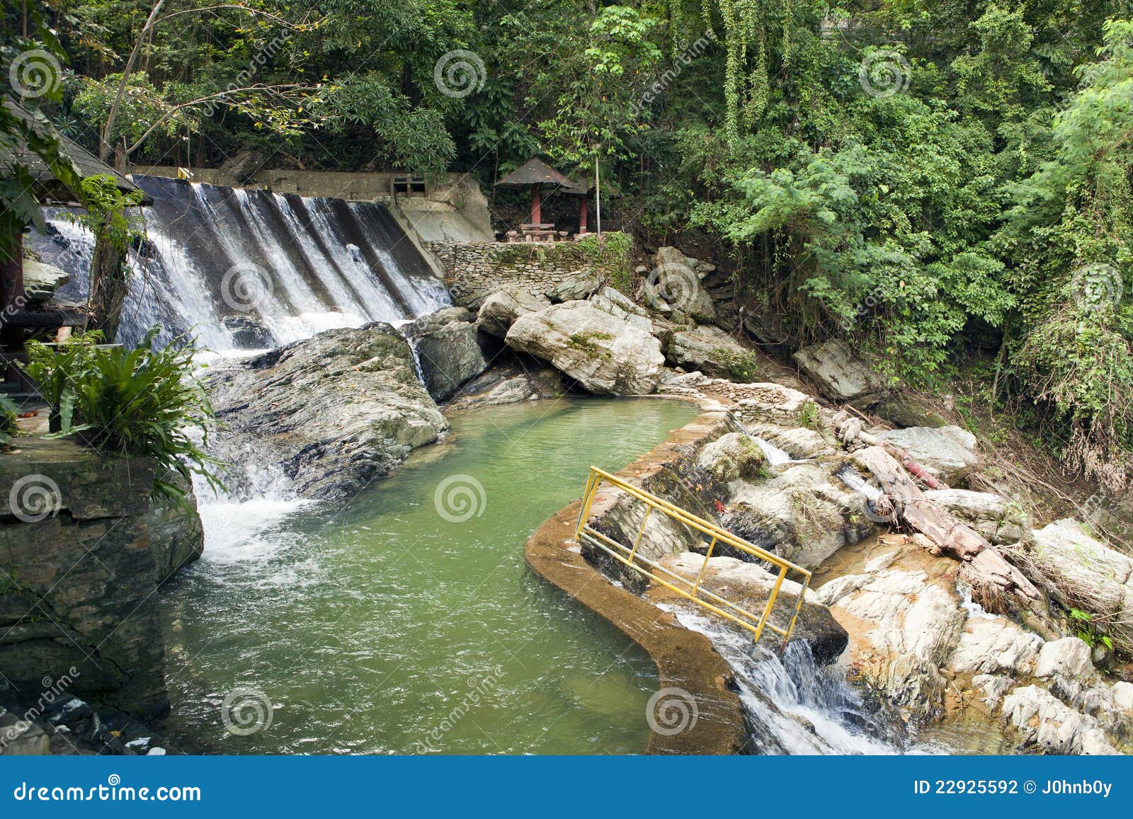Tamaraw Stock Photos - Free & Royalty-Free Stock Photos from Dreamstime