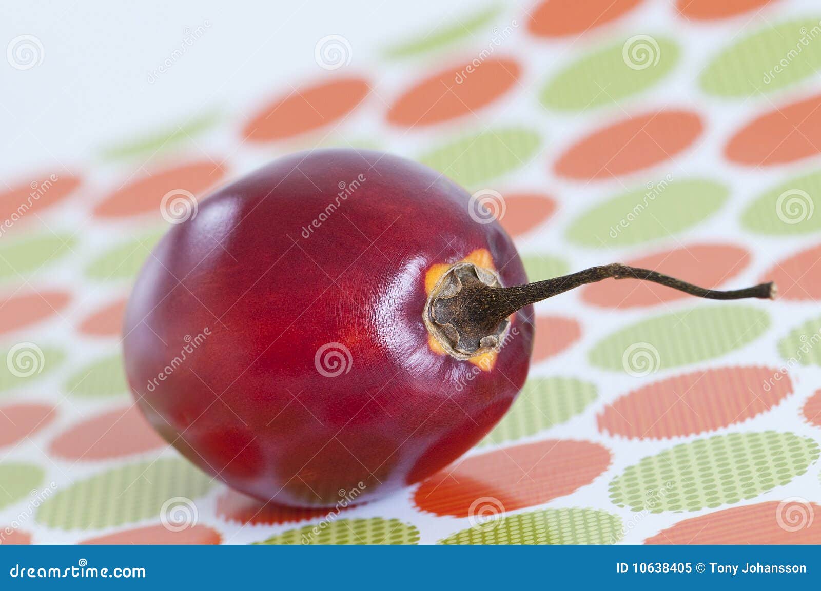 Tamarillo stock image. Image of graphic, isolated, pattern - 10638405