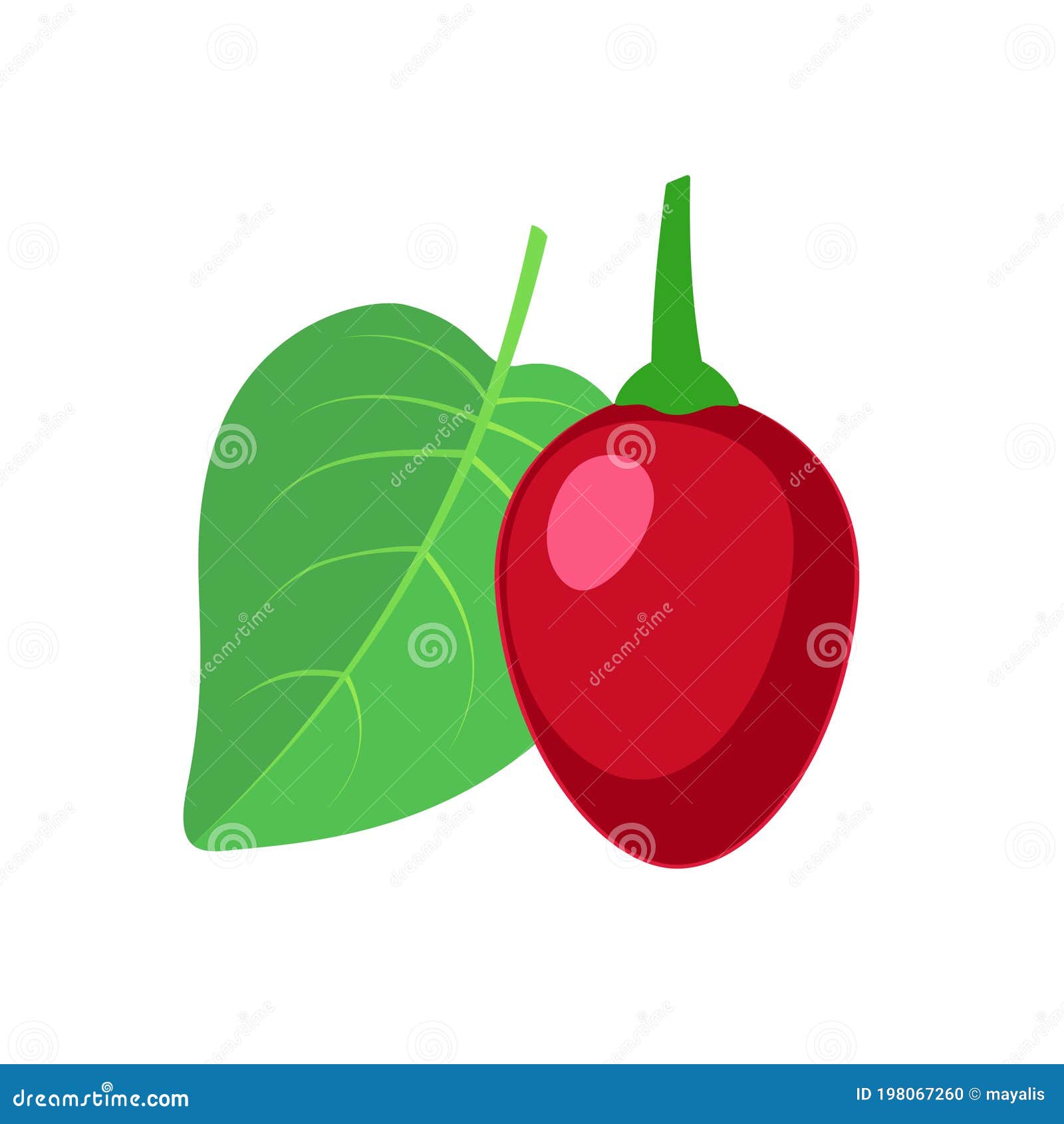 Tamarillo Fruit Icon Flat Design Vector Illustration Stock Vector ...