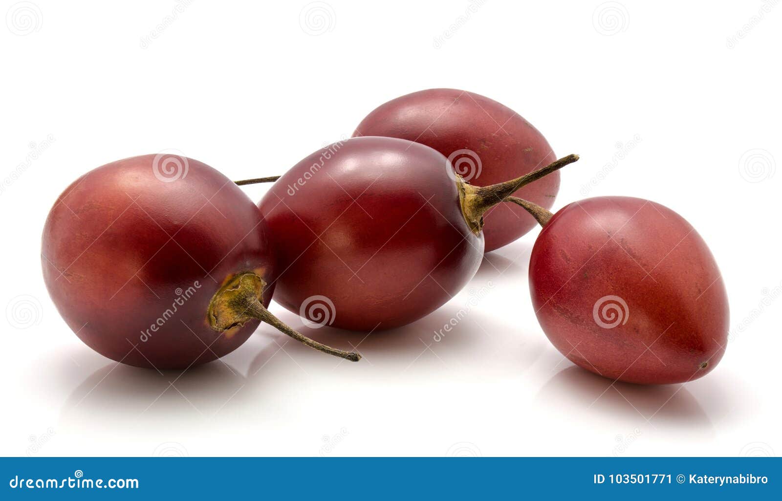 Tamarillo fruit isolated stock image. Image of tamamoro - 103501771