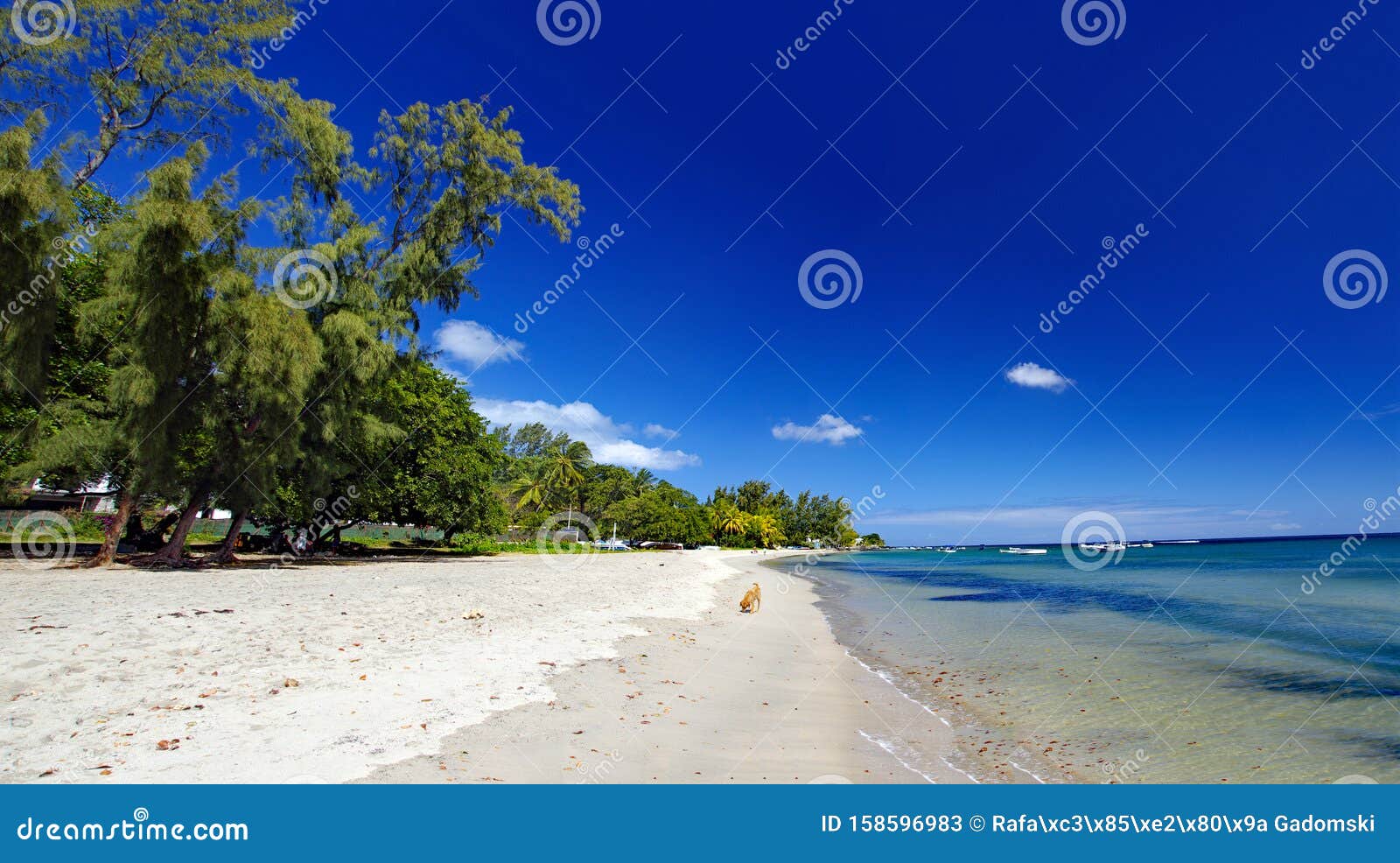 Tamarin Bay and Beach, Black River District, Mauritius Island Stock ...
