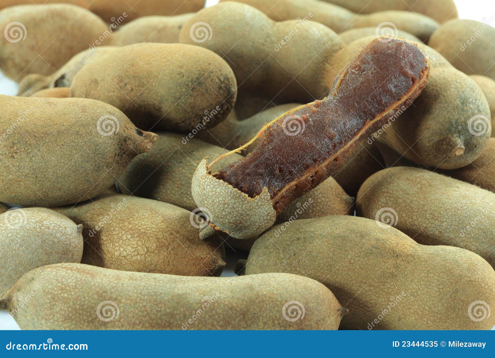 Tamarind stock image. Image of ripe, closeup, fresh, open - 23444535