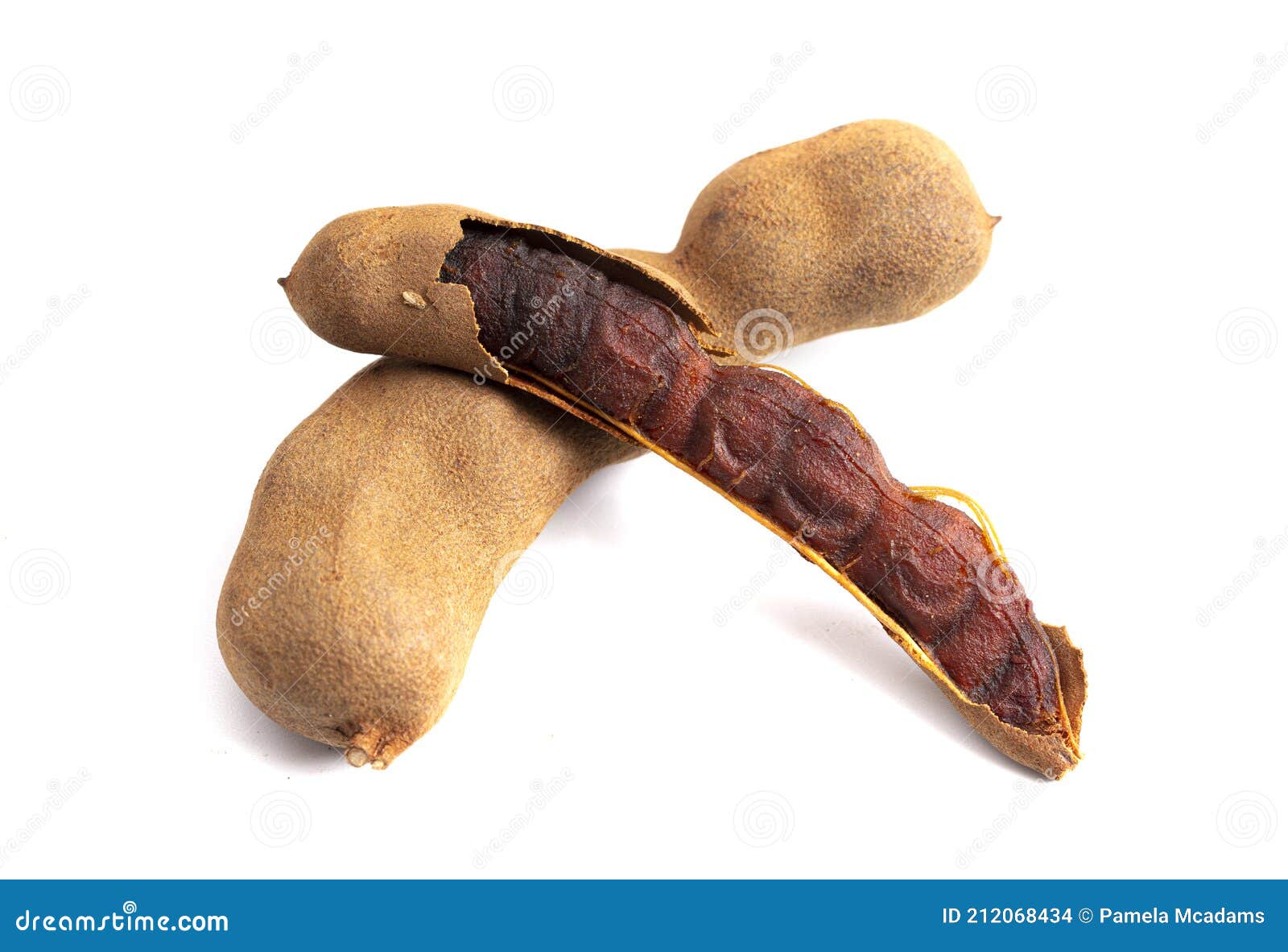 Tamarind Beans in Shell on a White Background Stock Photo - Image of ...