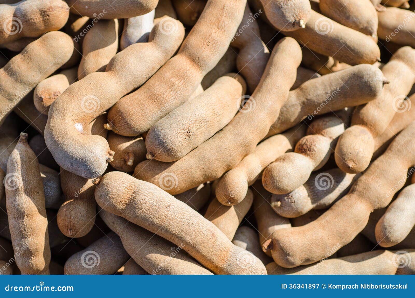 Tamarind stock image. Image of brown, ripe, natural, organic - 36341897