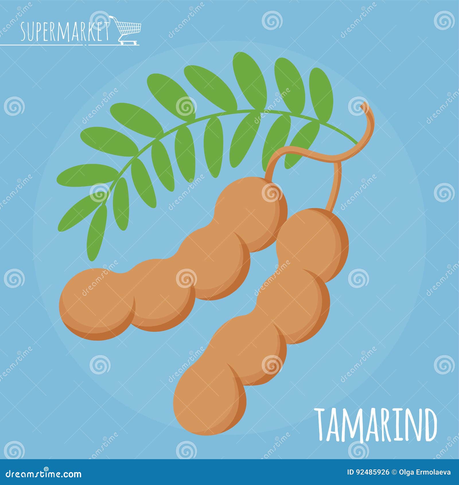 Tamarind Flat Design Vector Icon Stock Vector - Illustration of leaf ...
