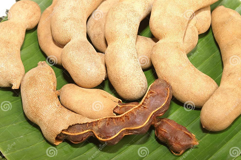 Tamarind fruit stock photo. Image of fruit, food, thai - 10787422