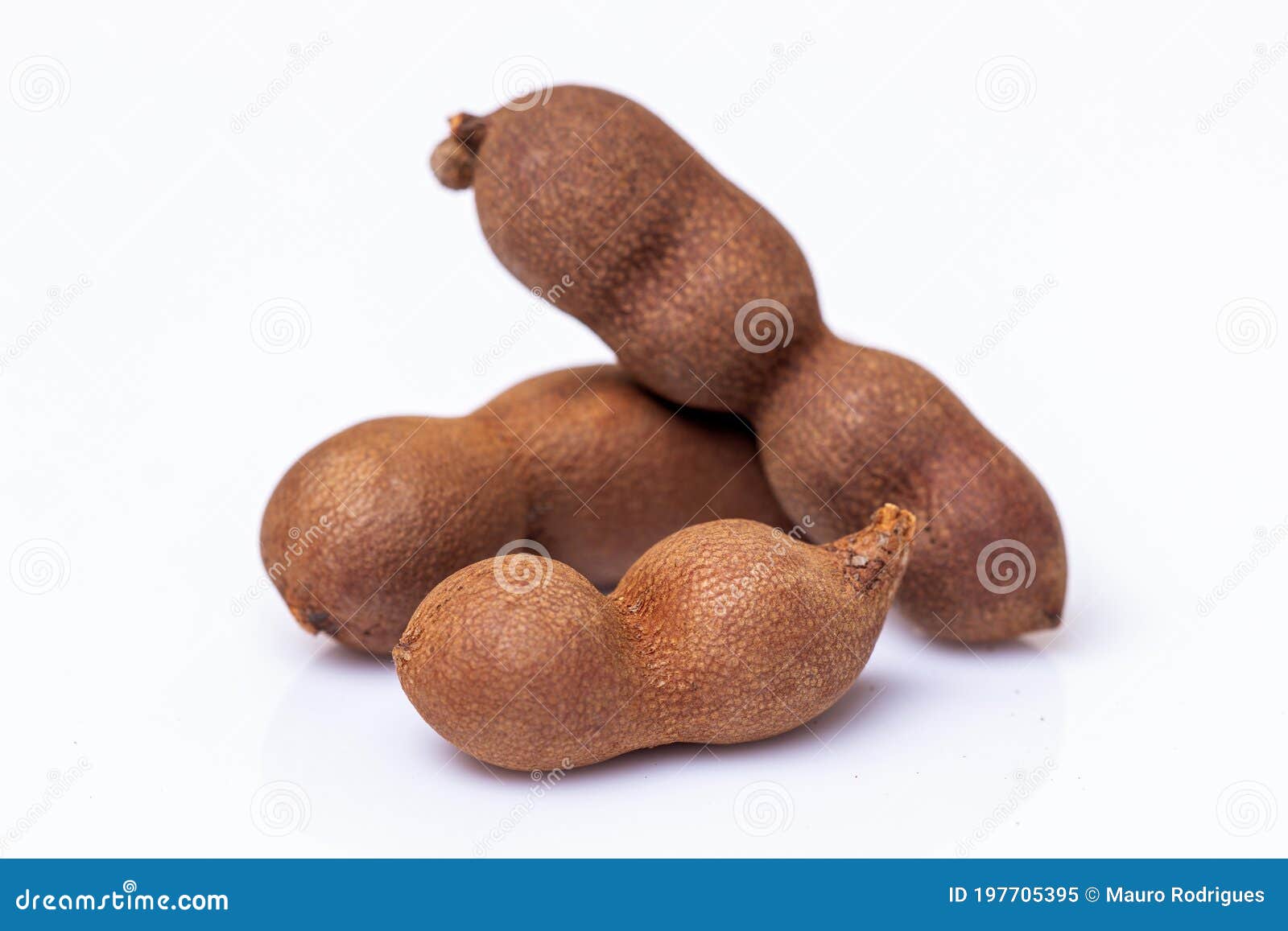 Tamarind fruit pods stock image. Image of sweet, nutrition - 197705395
