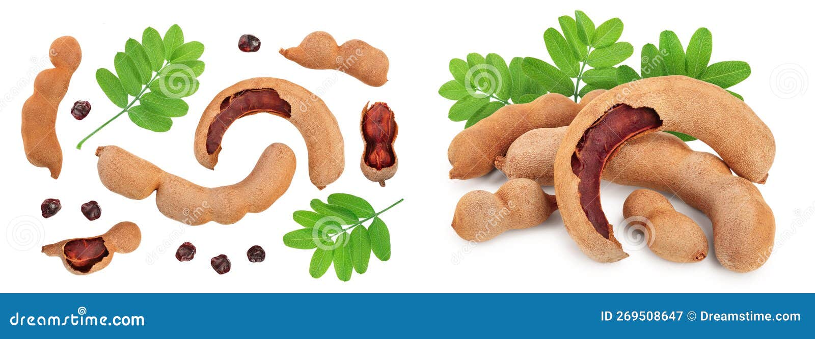 Tamarind Fruit with Seed Isolated on White Background, Top View. Flat ...