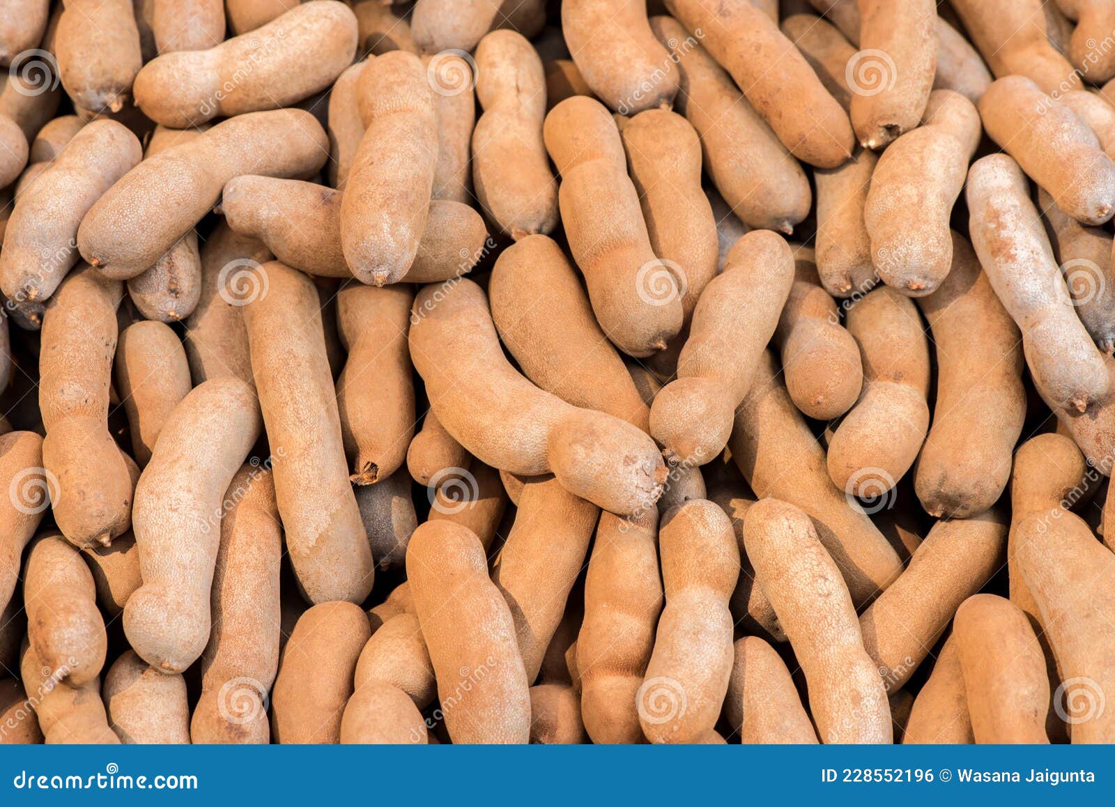 Tamarind Fruits Texture and Surface Background Stock Photo - Image of ...