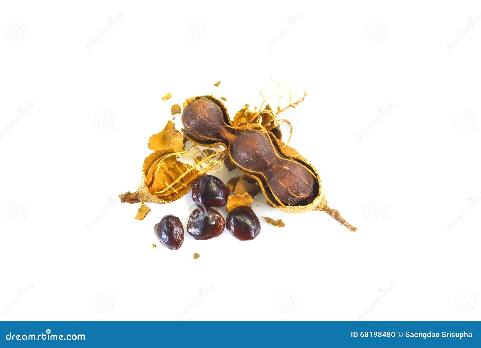 Tamarind stock photo. Image of cuisine, organic, open - 68198480