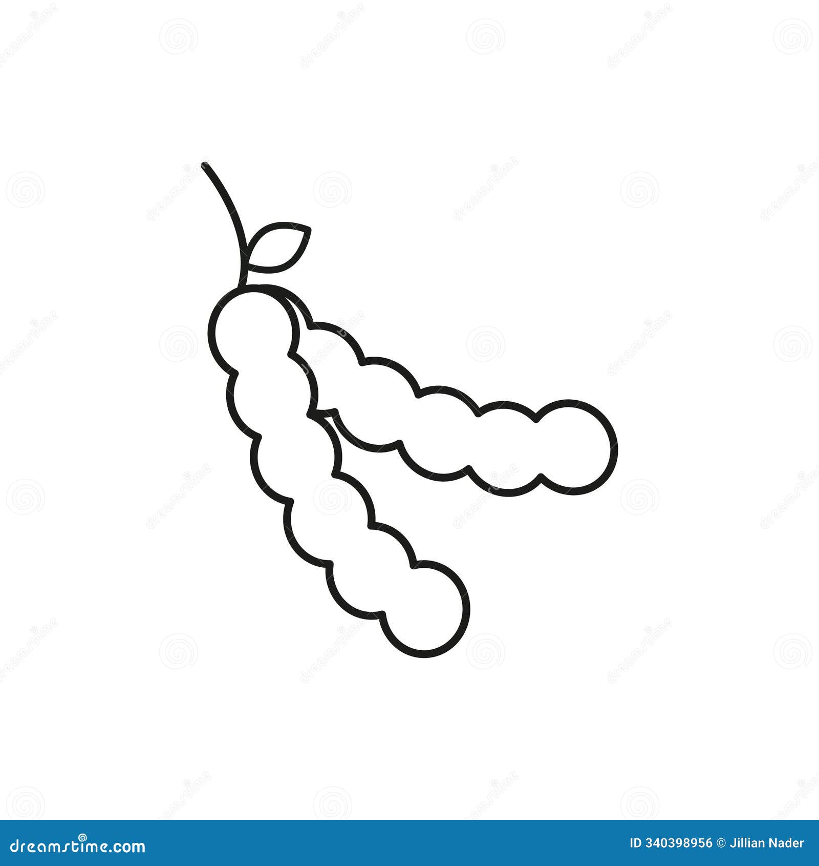 Tamarind Icon Flat Line Symbol Set Stock Illustration - Illustration of ...