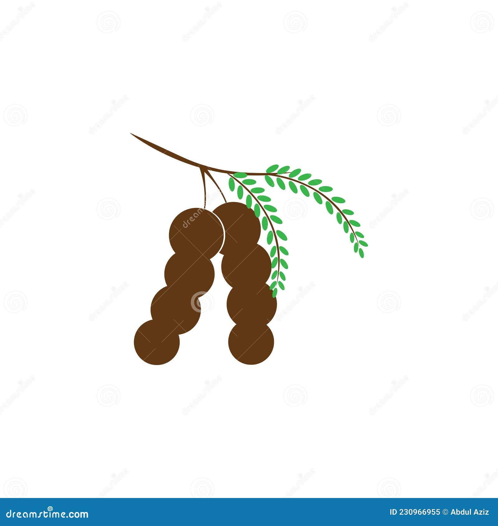 Tamarind Icon Logo Vector | CartoonDealer.com #230966956