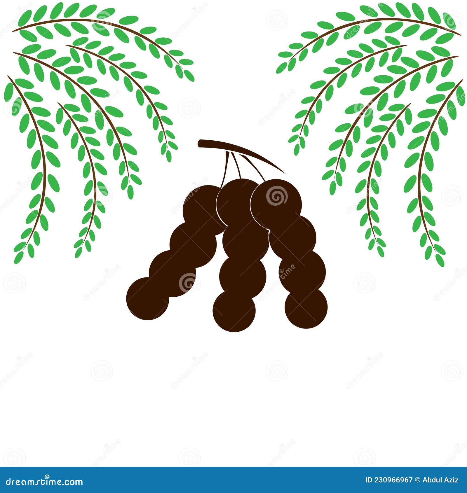 Tamarind icon logo vector stock vector. Illustration of spice - 230966967