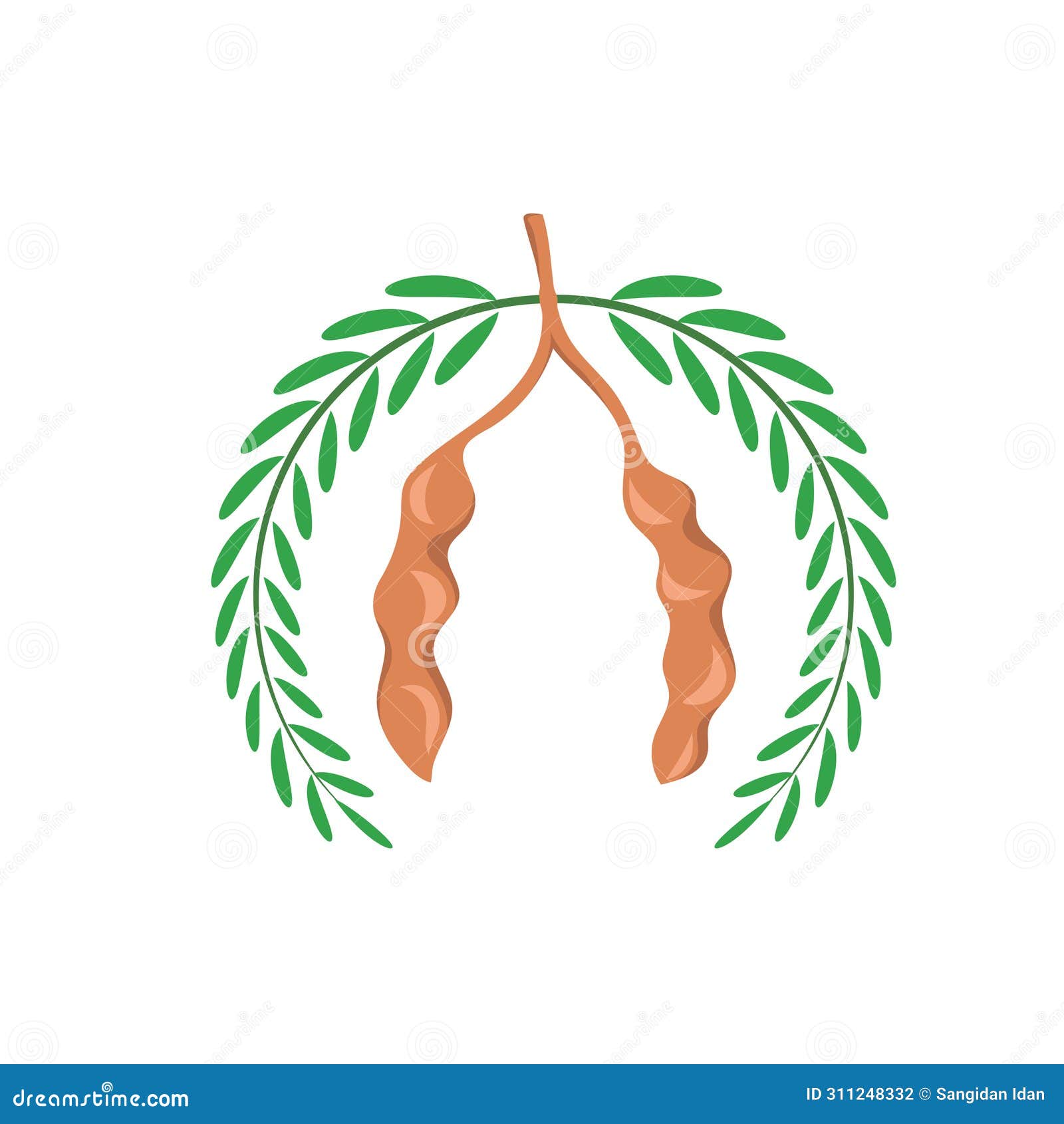 Tamarind Icon Vector Element Concept Design Template Stock Vector ...