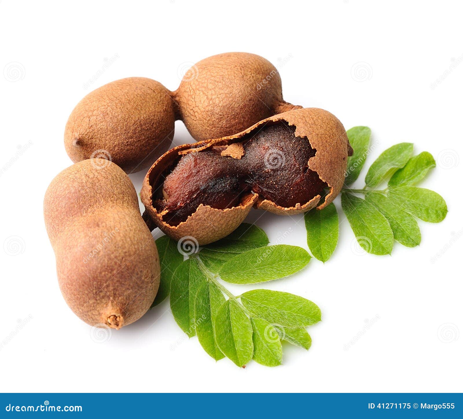 Tamarind with leaves stock image. Image of tropical, white - 41271175