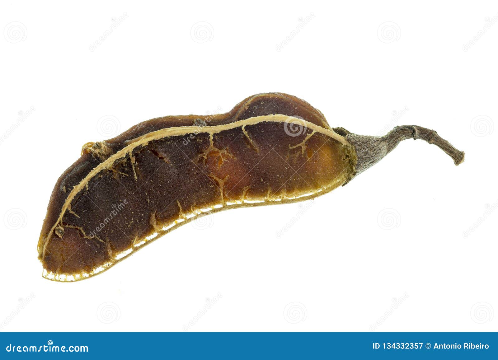 Tamarind Pod-like Raw Fruit Stock Image - Image of native, africa ...